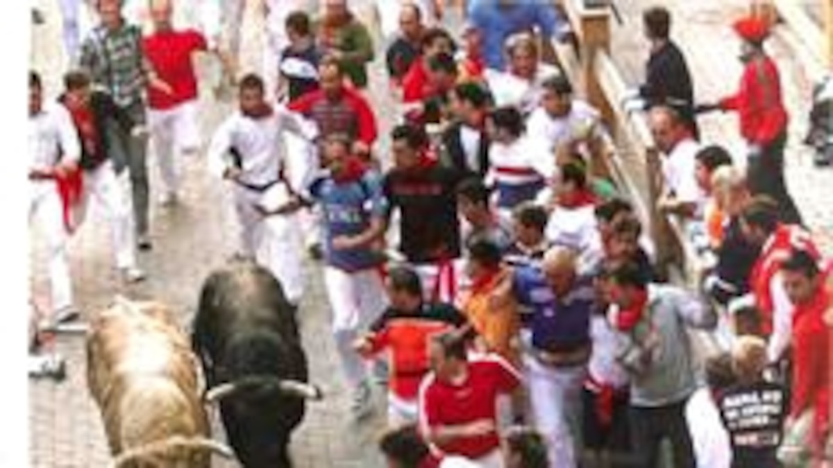 Spain: How to Run with the Bulls, An Old-Timer’s Secrets Revealed ...
