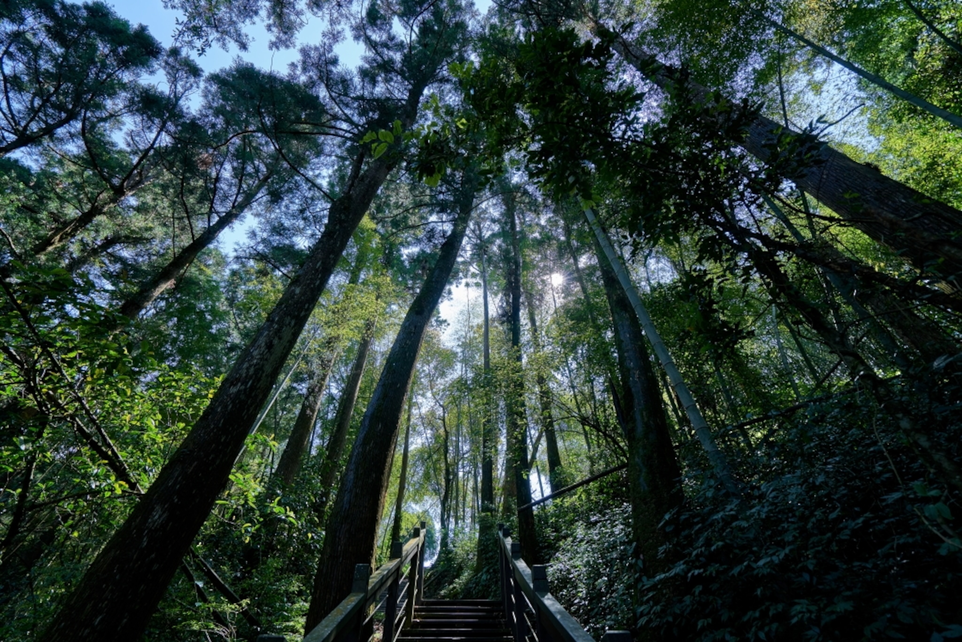10 Majestic Mountain Wonders of Taiwan