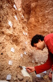 Absolute Dating Archaeology Telegraph
