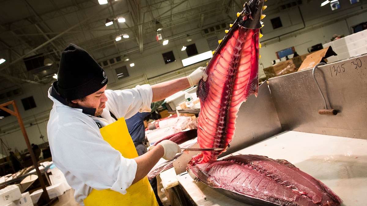 One in Three Fish Imported Into U.S. May Be Illegal | Nat Geo Food ...