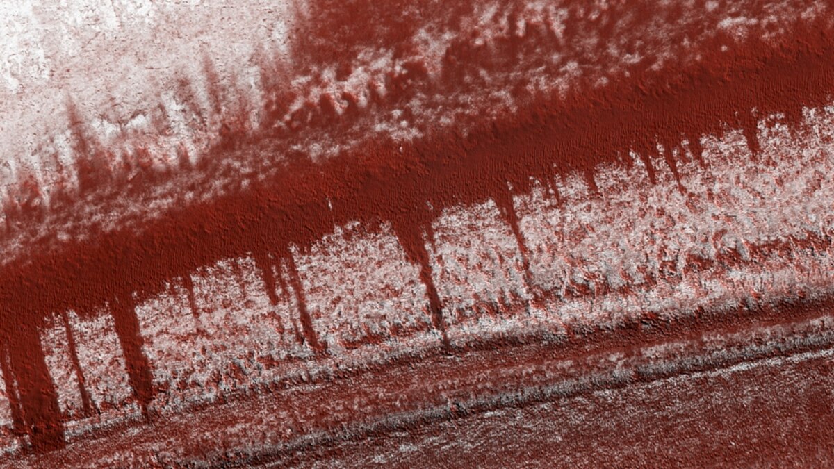 Space Photos This Week: "Moontrail," Sun Eruption, More | National ...