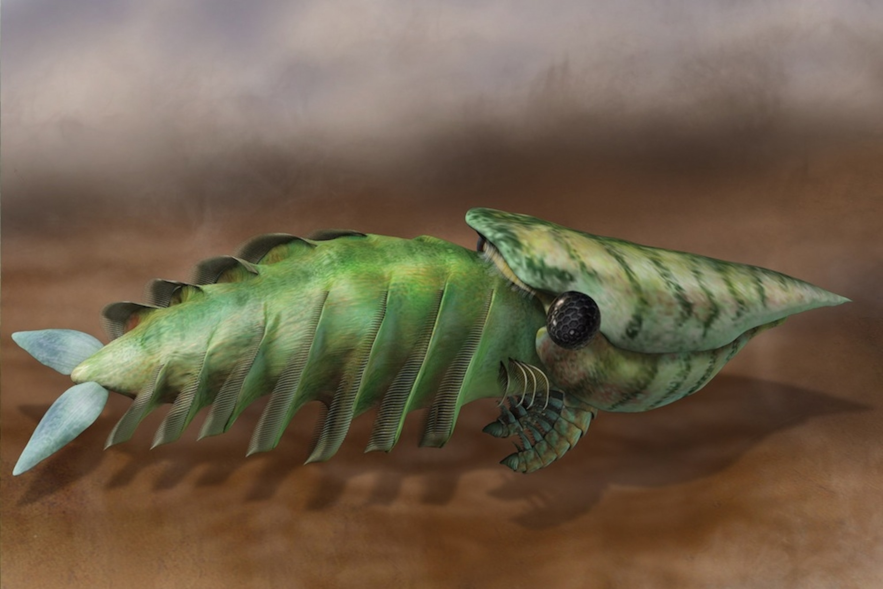 The Weird Youth of the Animal Kingdom (Slide Show)