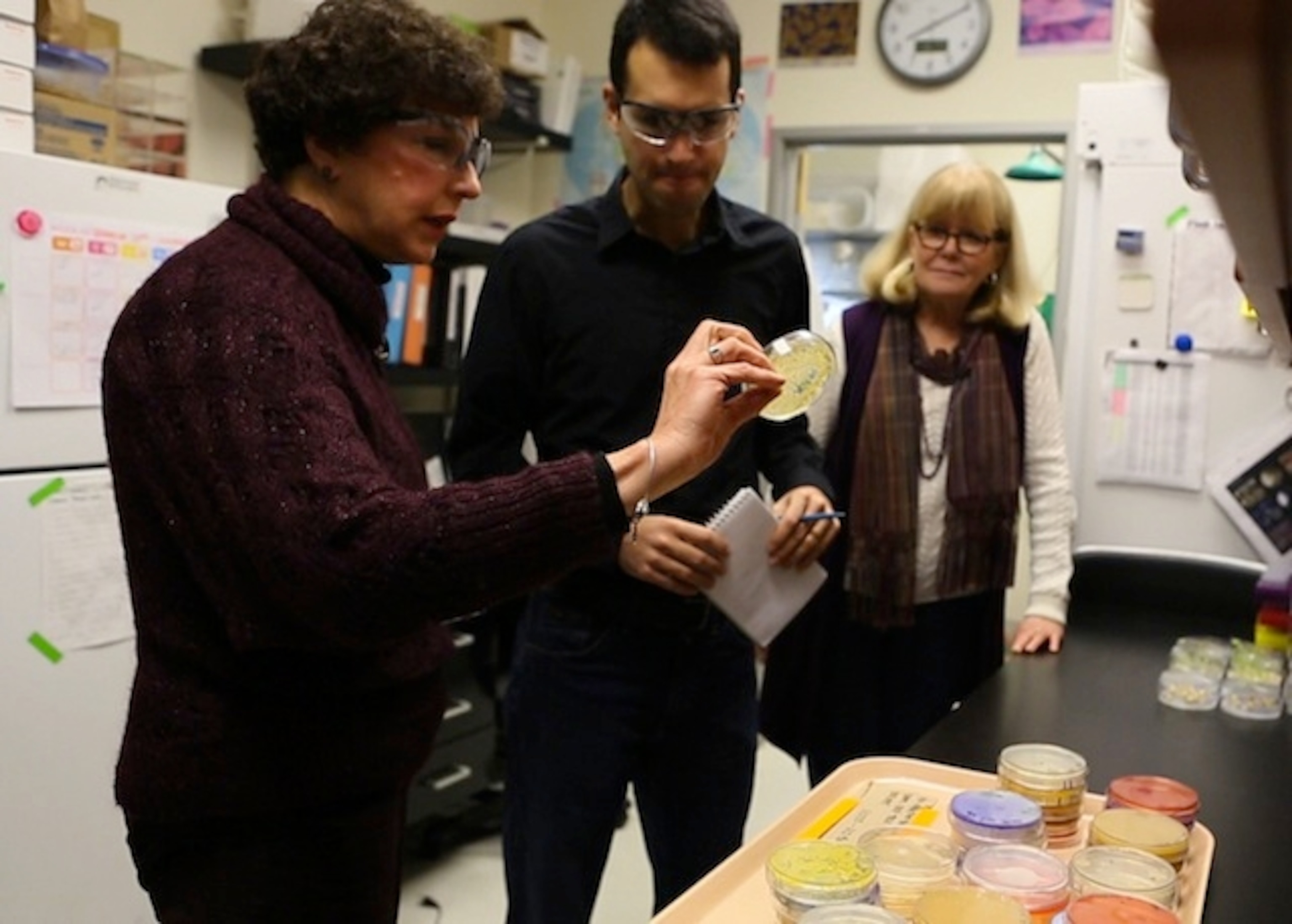 Using Pesticides to Grow Organic Crops | National Geographic