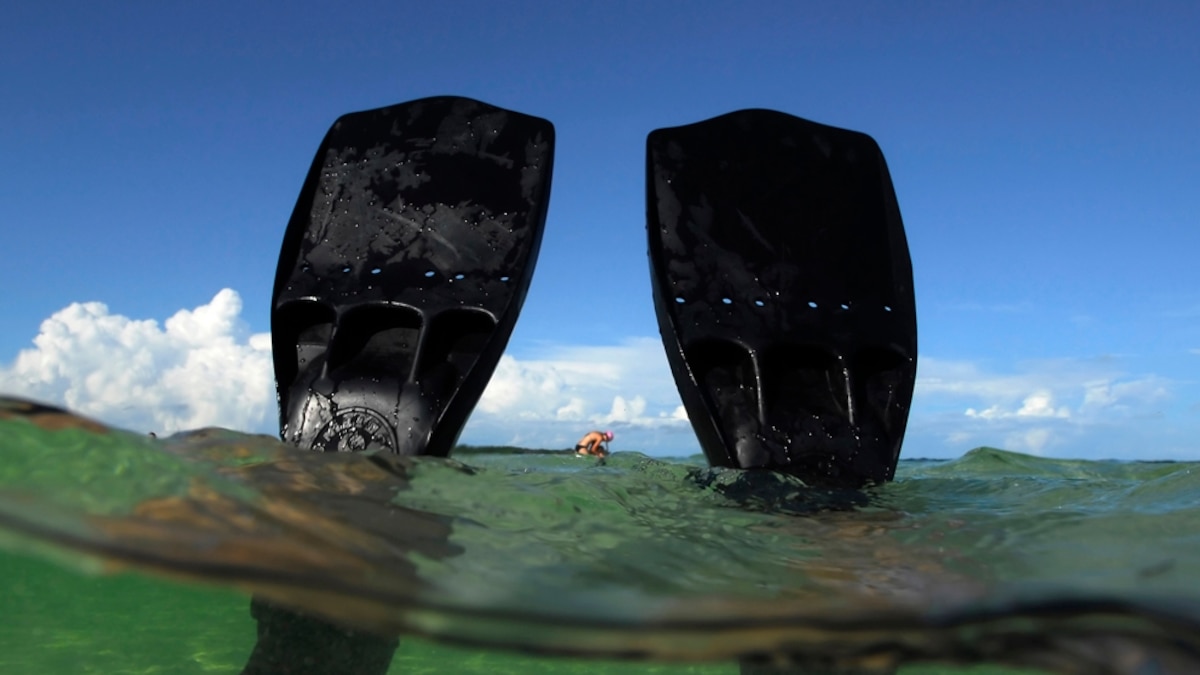 Florida by Water: See the Wild Side of the Keys -- National Geographic ...