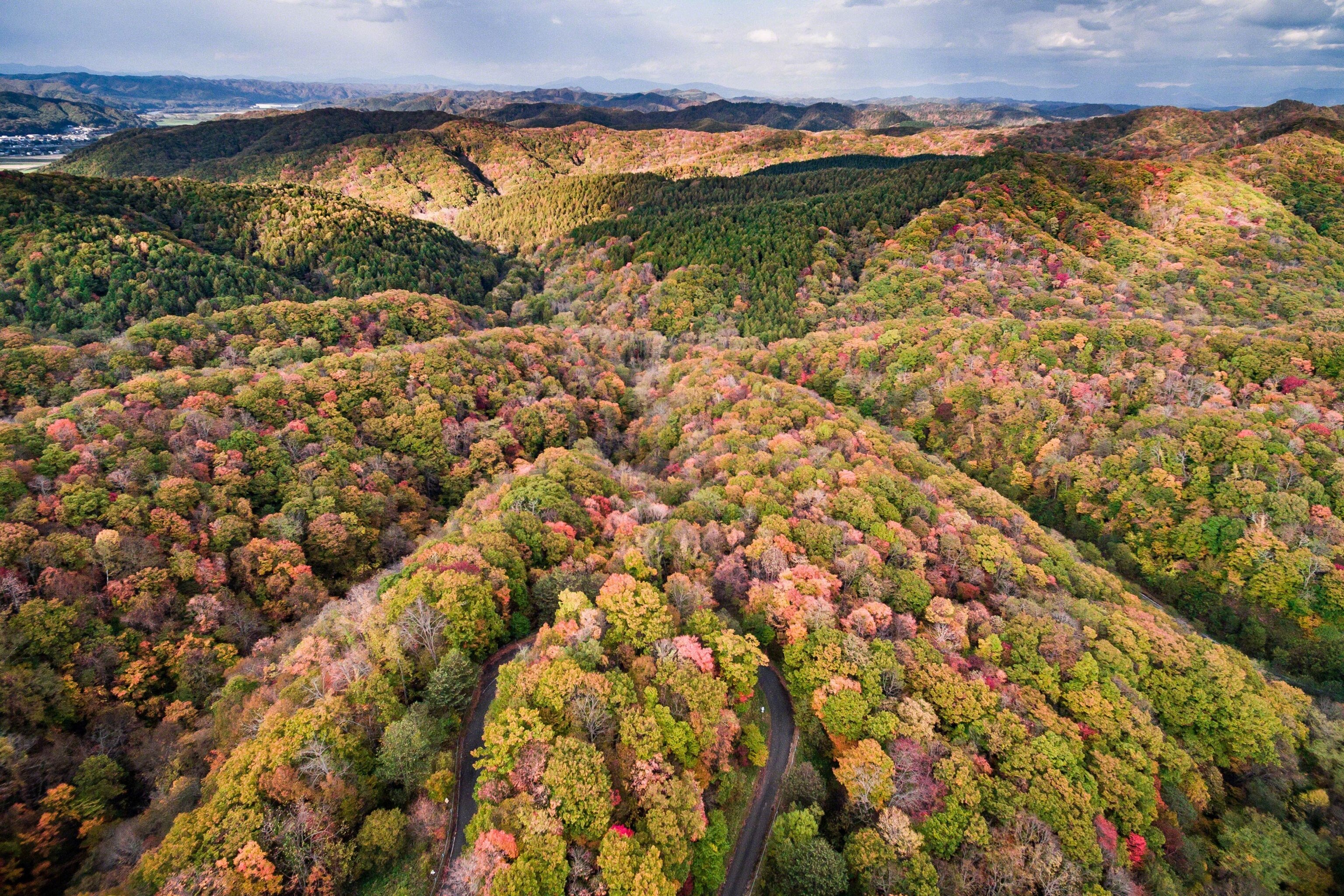 These are the 7 best fall festivals in the United States