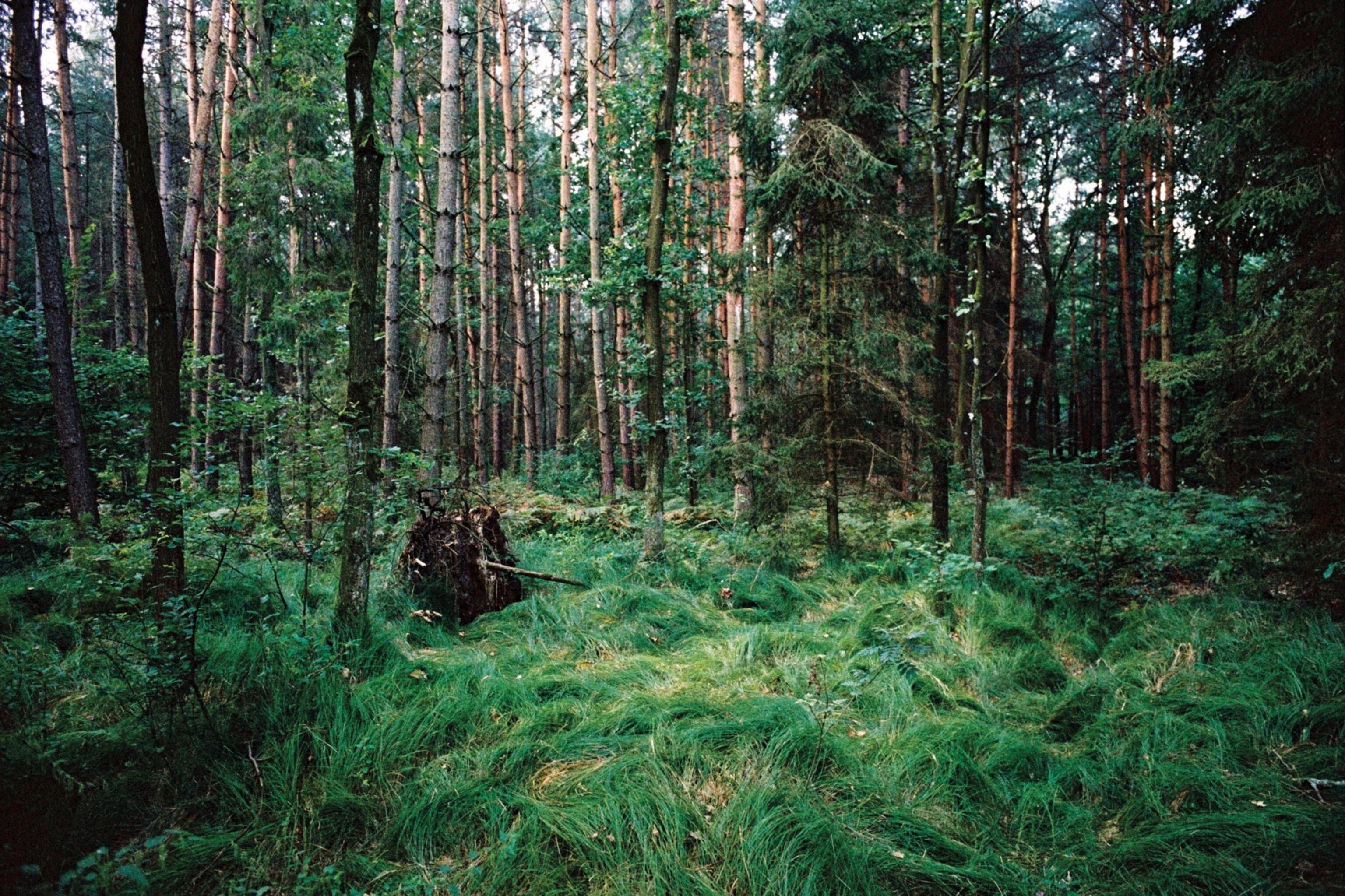 Across Europe, a photographer retraces a haunting ‘pathway to genocide.’