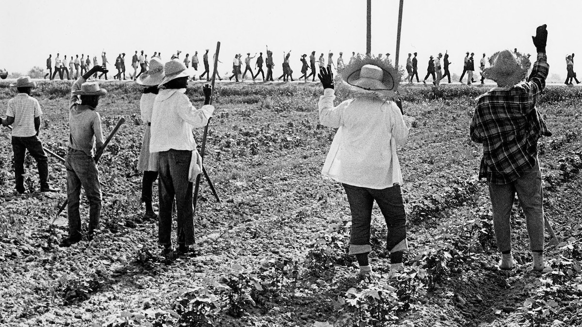 African-American History Books Shine | National Geographic