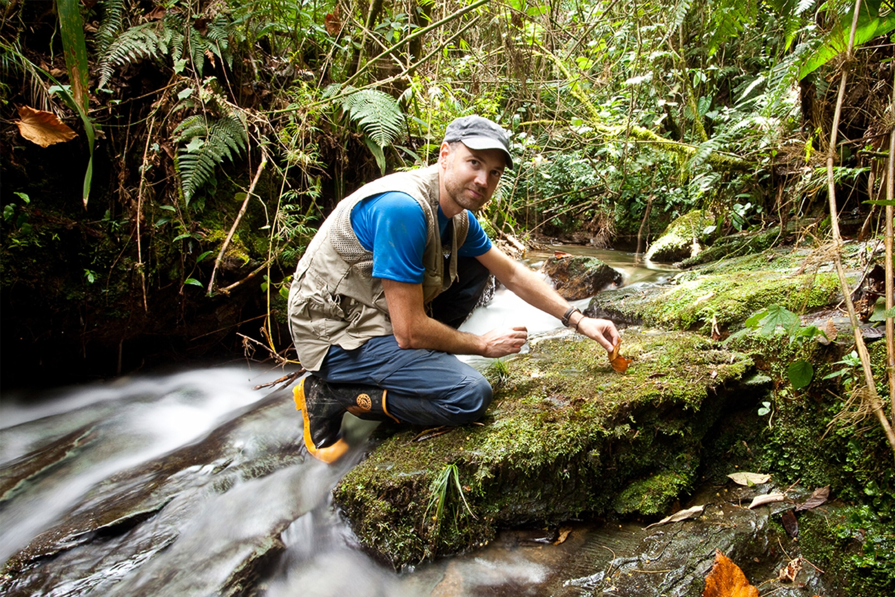 The Search for Missing Frogs Brings Some Species Back From the Dead