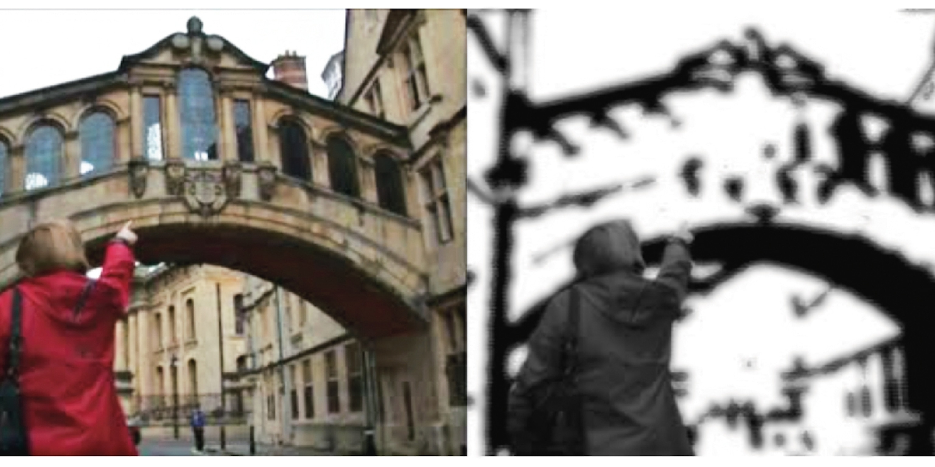 Inside the Eye: Nature’s Most Exquisite Creation