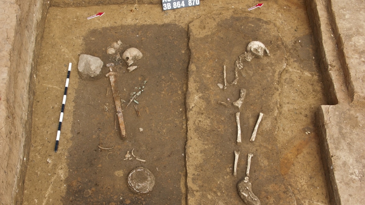 Pictures: Mysterious Viking-era Graves Found With Treasure | National ...