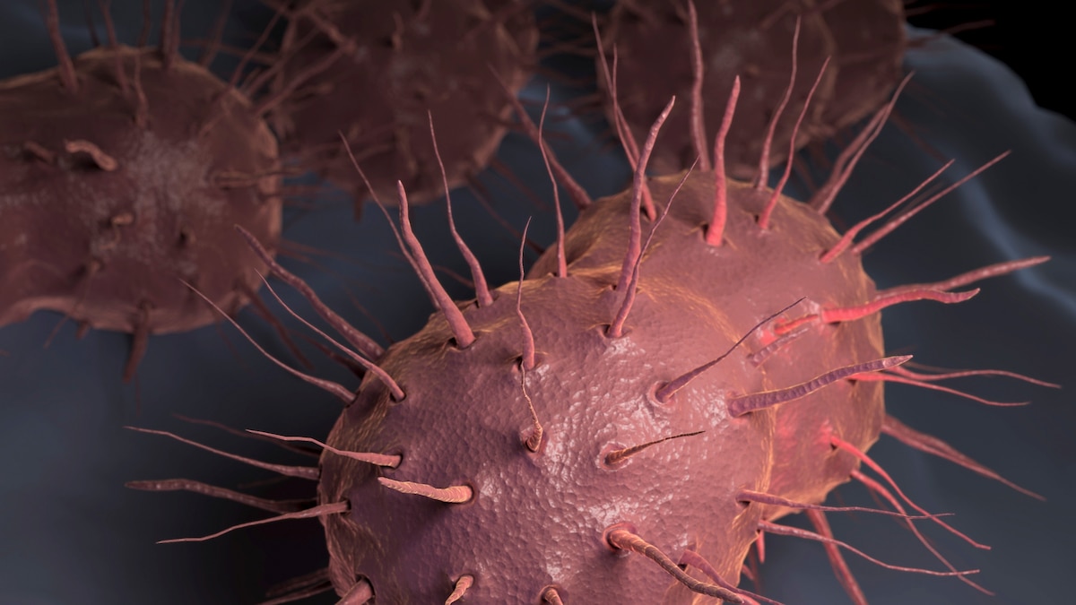 Fatal Superbugs: Antibiotics Losing Effectiveness, WHO Says | National ...