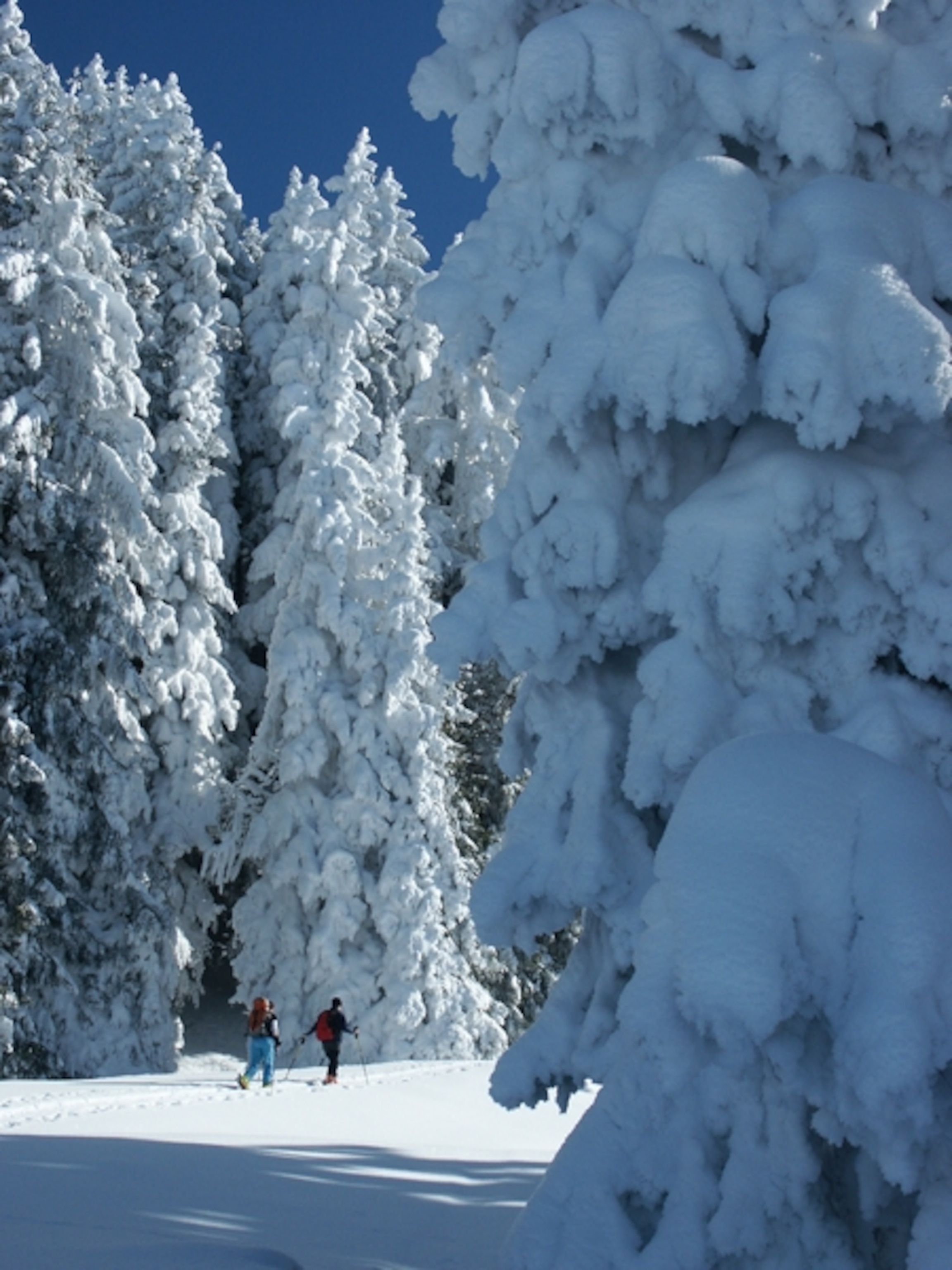 Your Skiing and Snowboarding Photos -- National Geographic