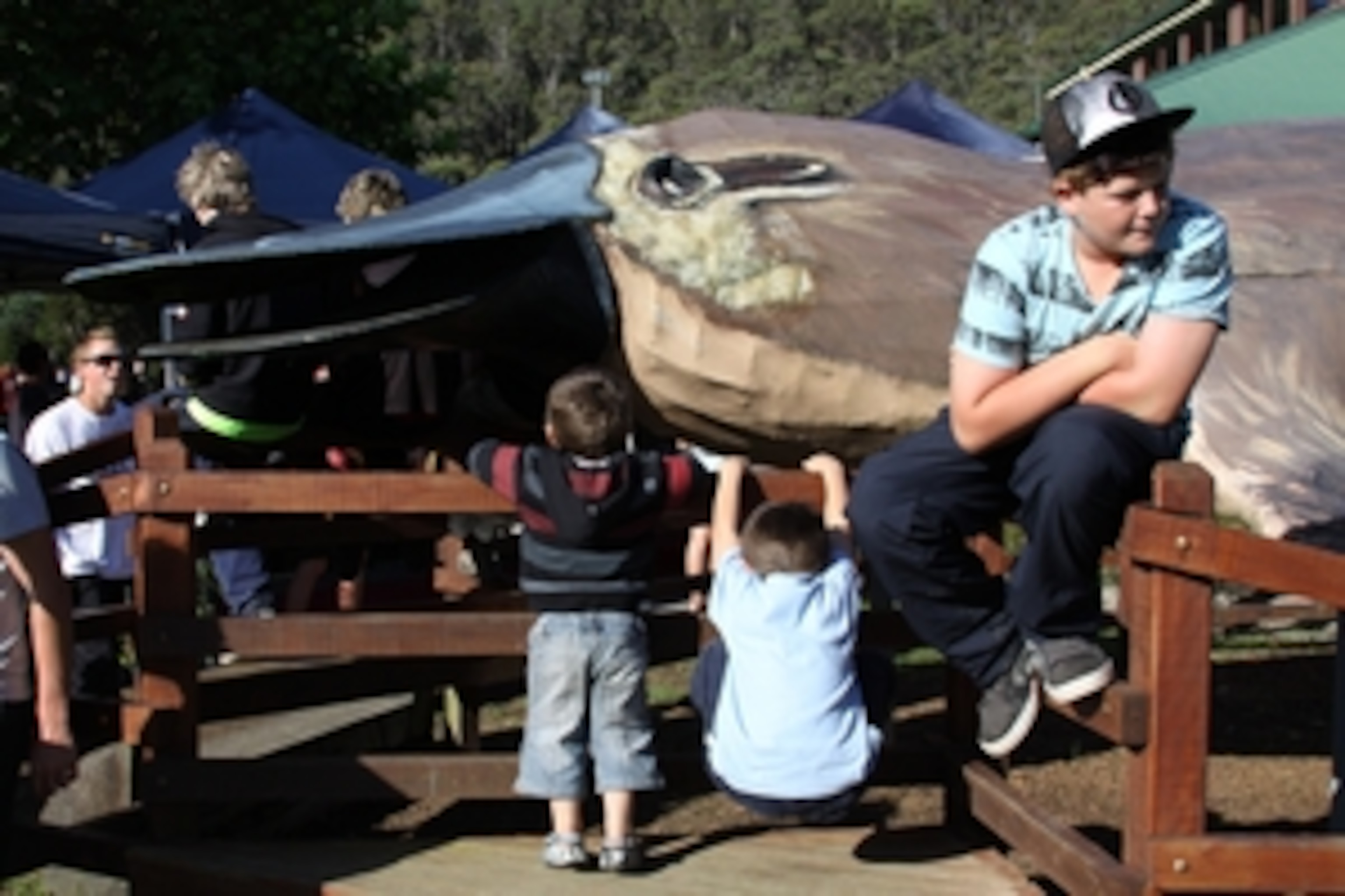 Where’s Andrew? Photo Clue #11