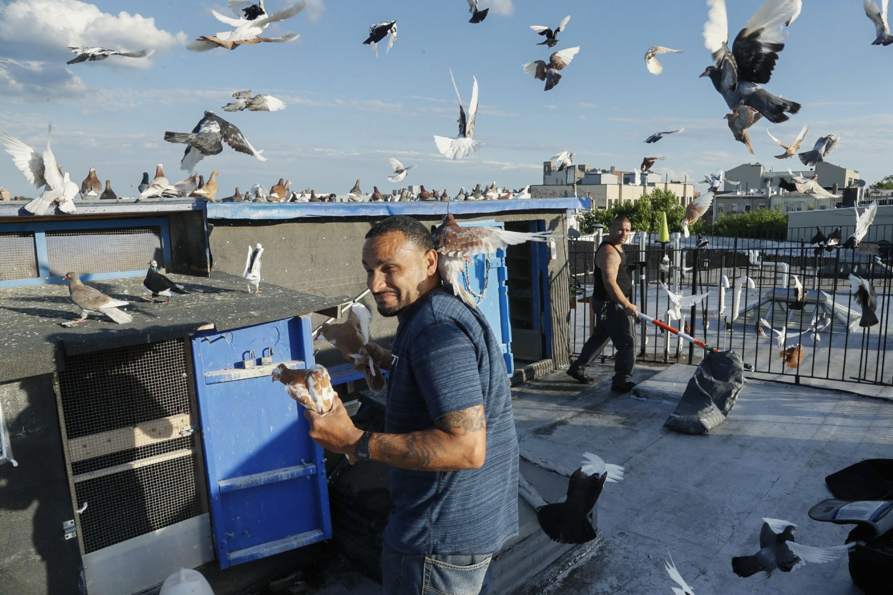 Striking Photos of the Pigeon Flocks of Brooklyn’s Rooftops