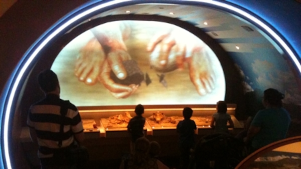 Smithsonian Hall of Human Origins: Just Go | National Geographic