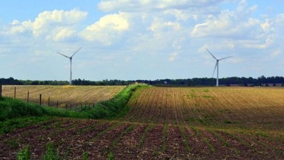 What Breakthroughs Do Biofuels Need? | National Geographic