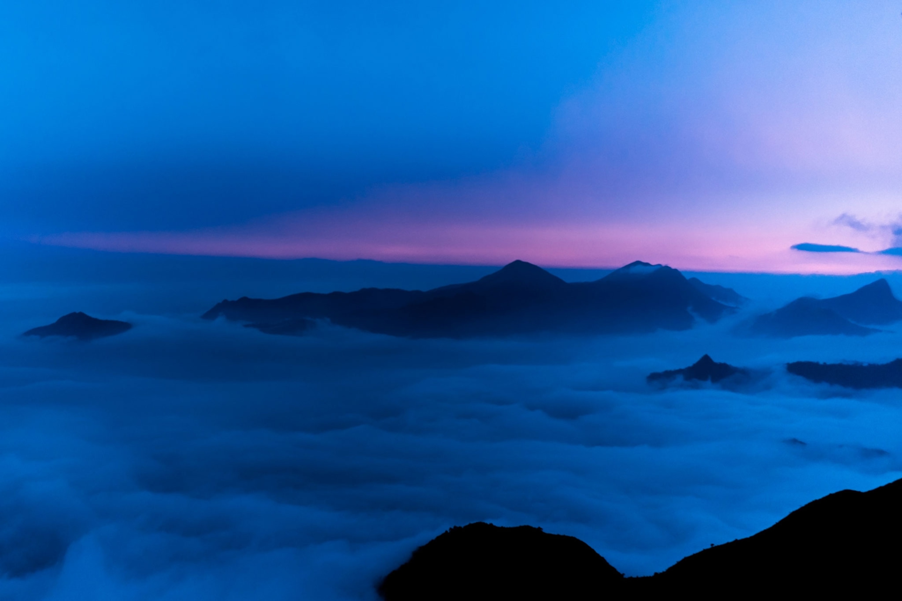 Breathtaking ‘Sky Islands’ Showcase Evolution in Action