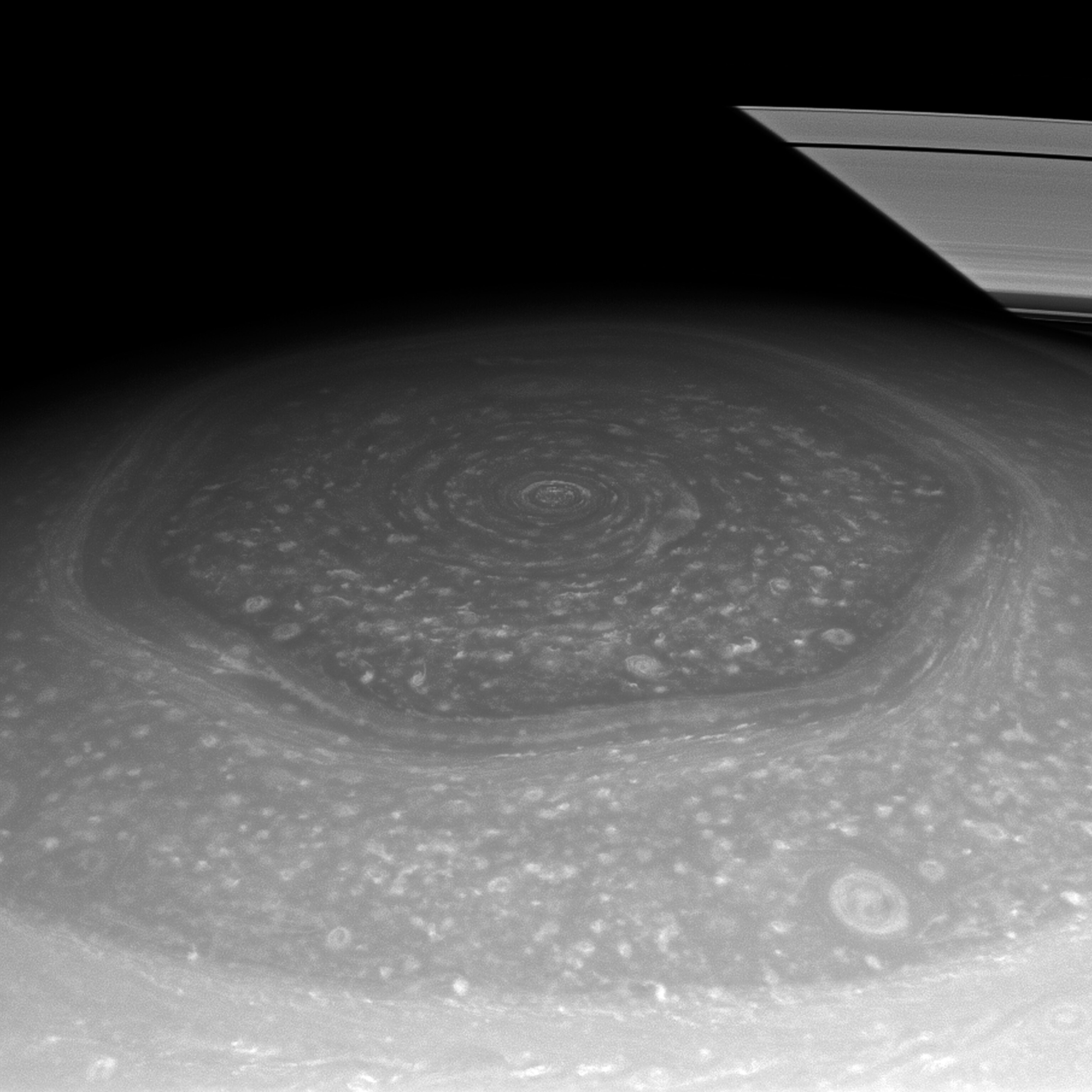 Space Pictures This Week: Sun Dragon, Celestial Seagull