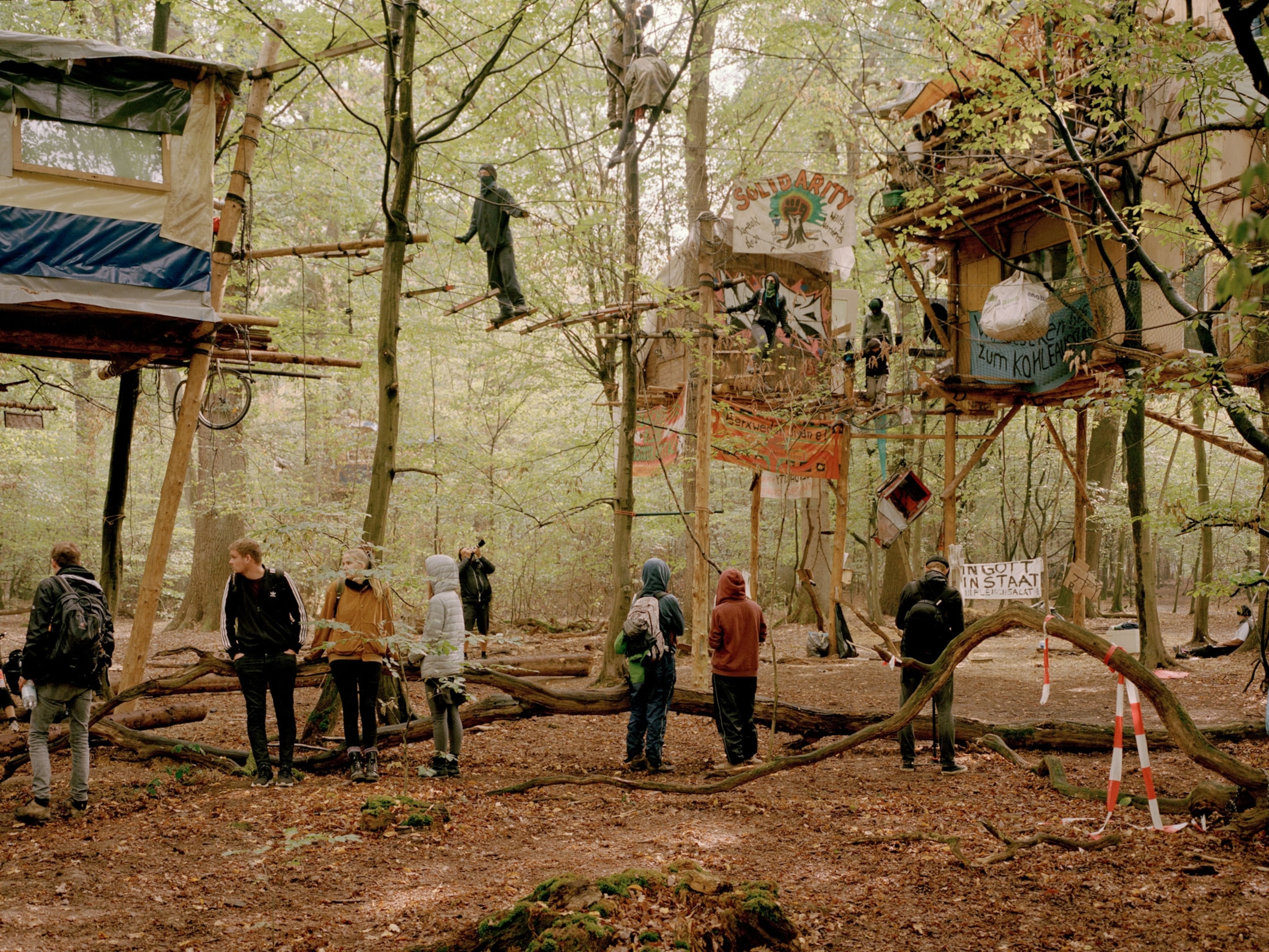 Photos of protests in Germany's Hambach forest