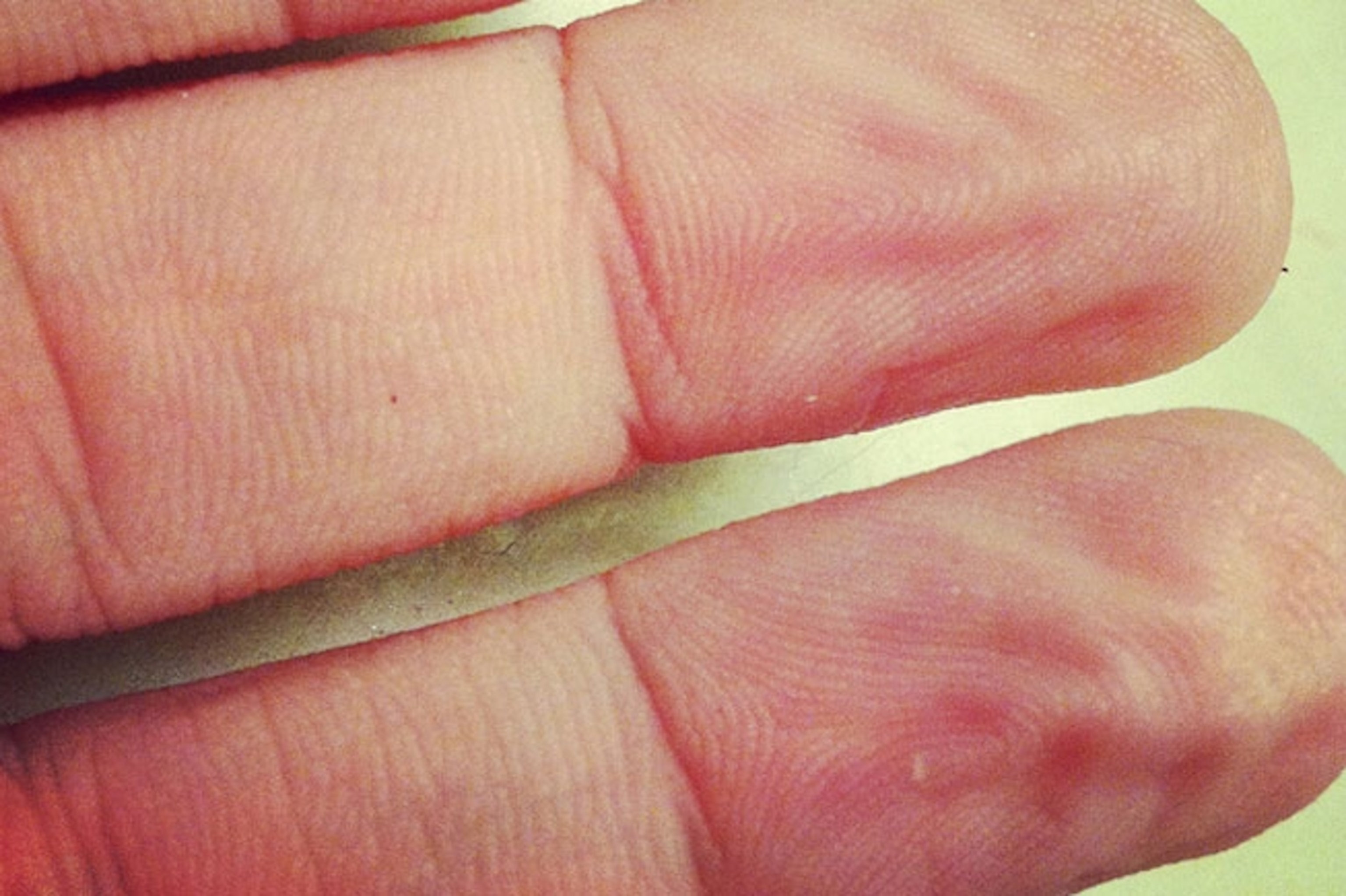 Debate: did wrinkled fingers evolve for better grip?