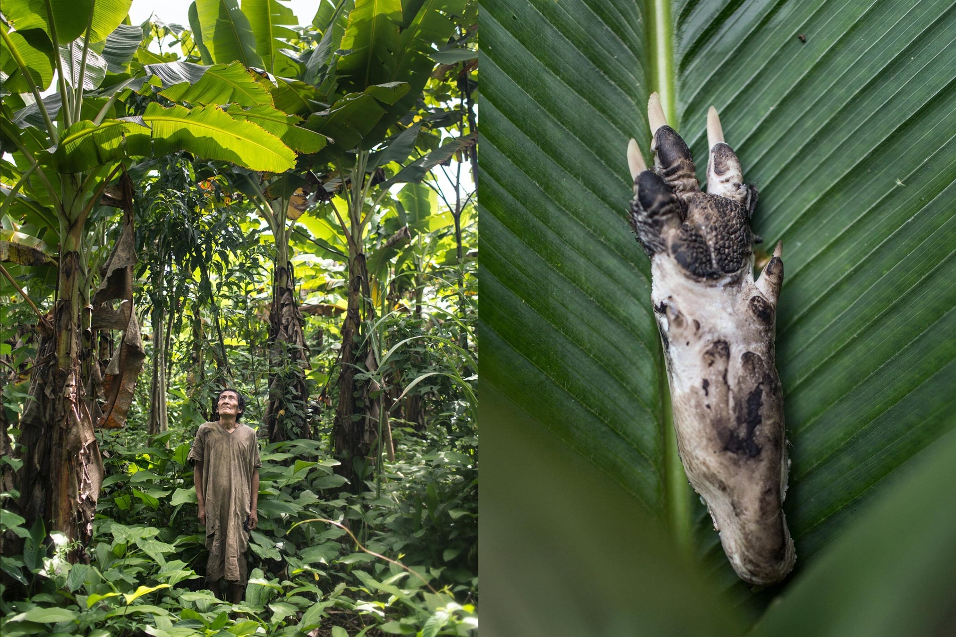 Surprising Pictures and Video Explore the Oldest Diets on Earth