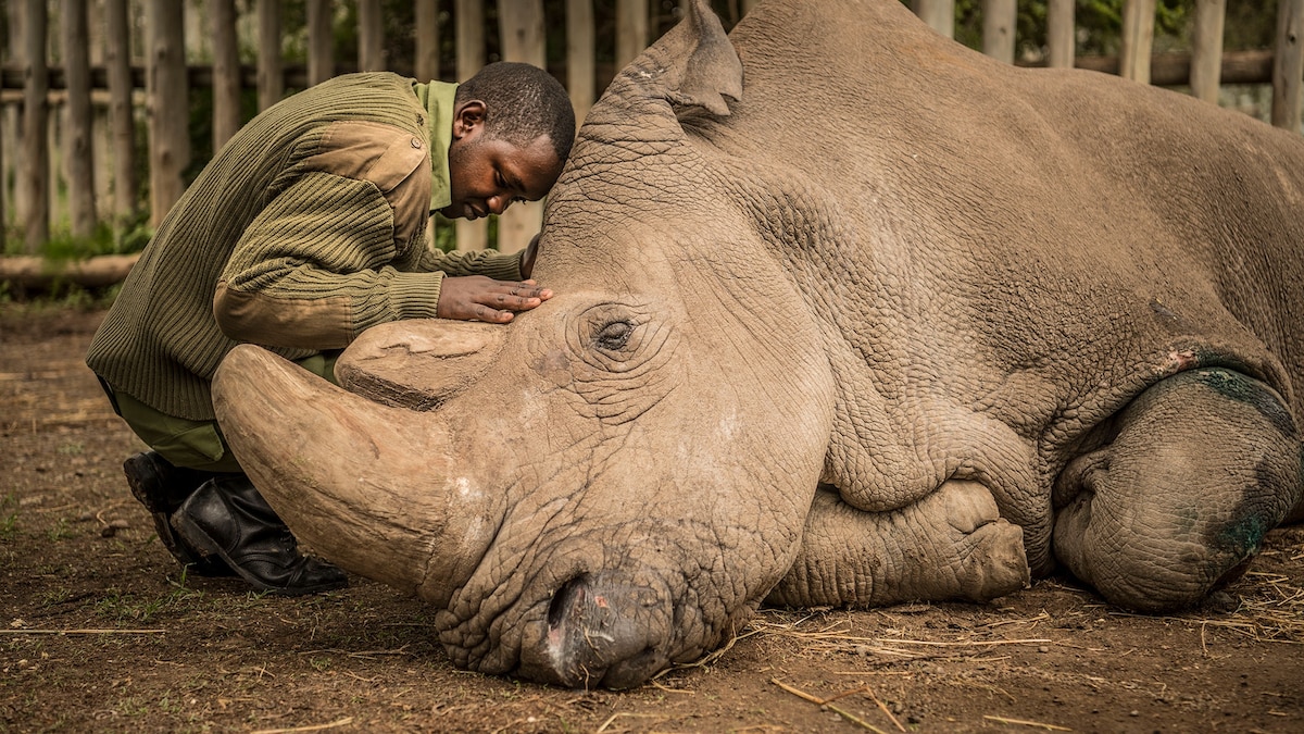 Our top 10 most popular Instagram photos of 2018 | National Geographic