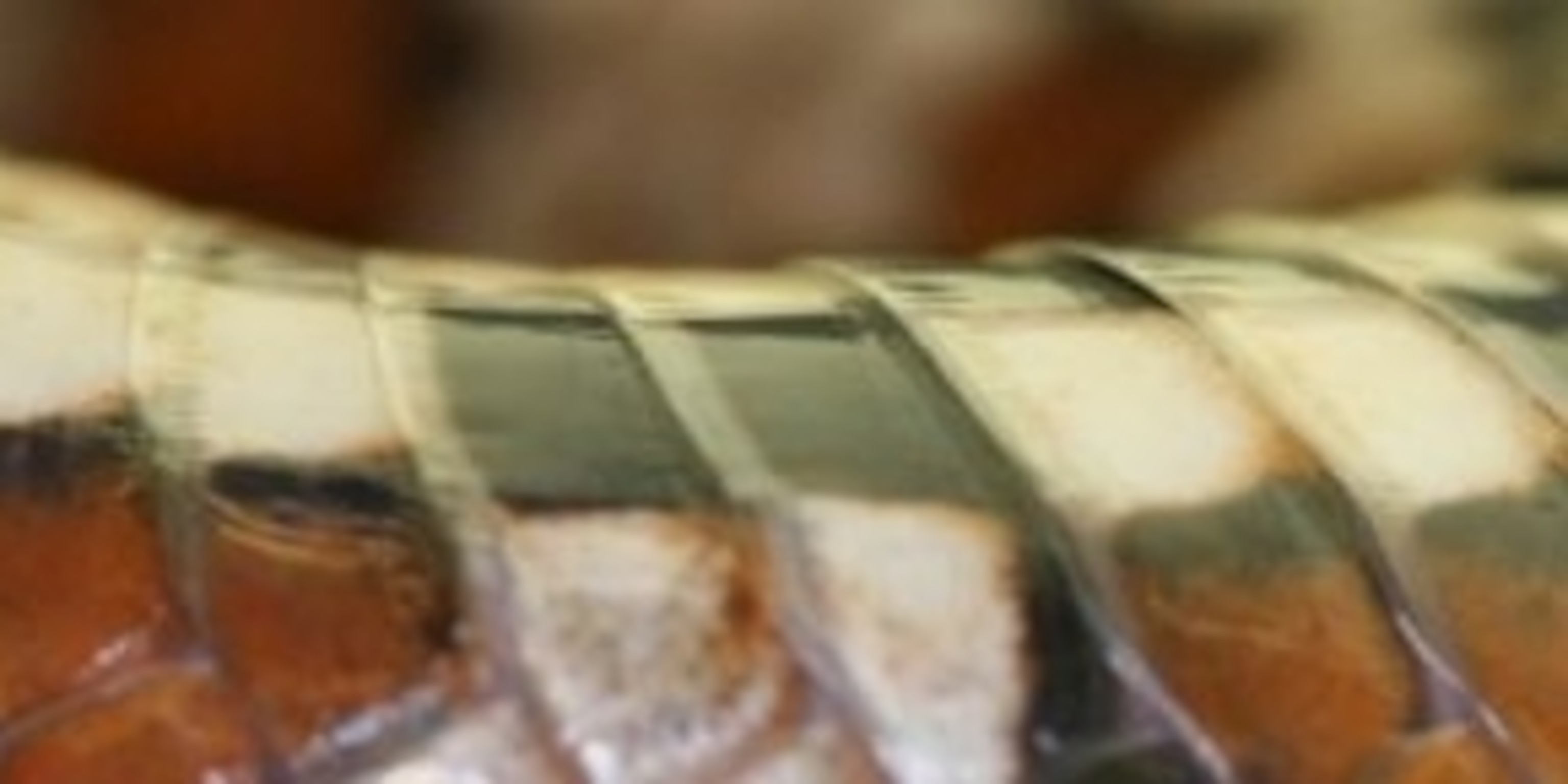 How To Be A Snake [Life in Motion]