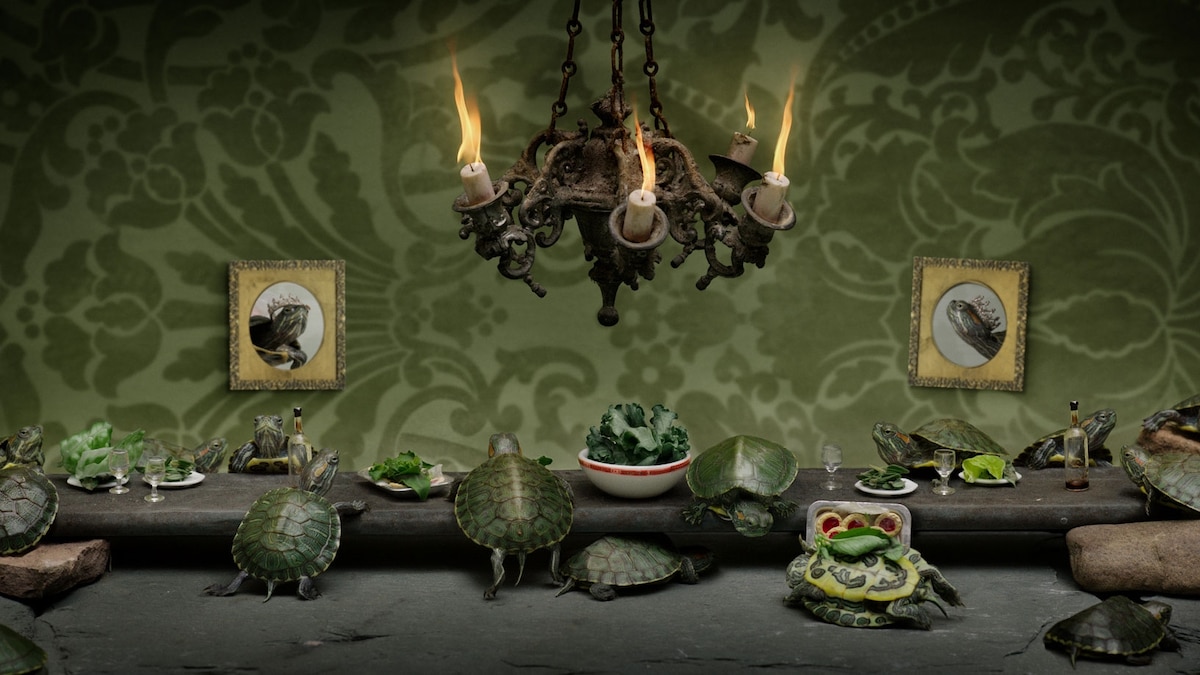 Whimsical Animal Feasts Spring From This Photographer's Imagination ...