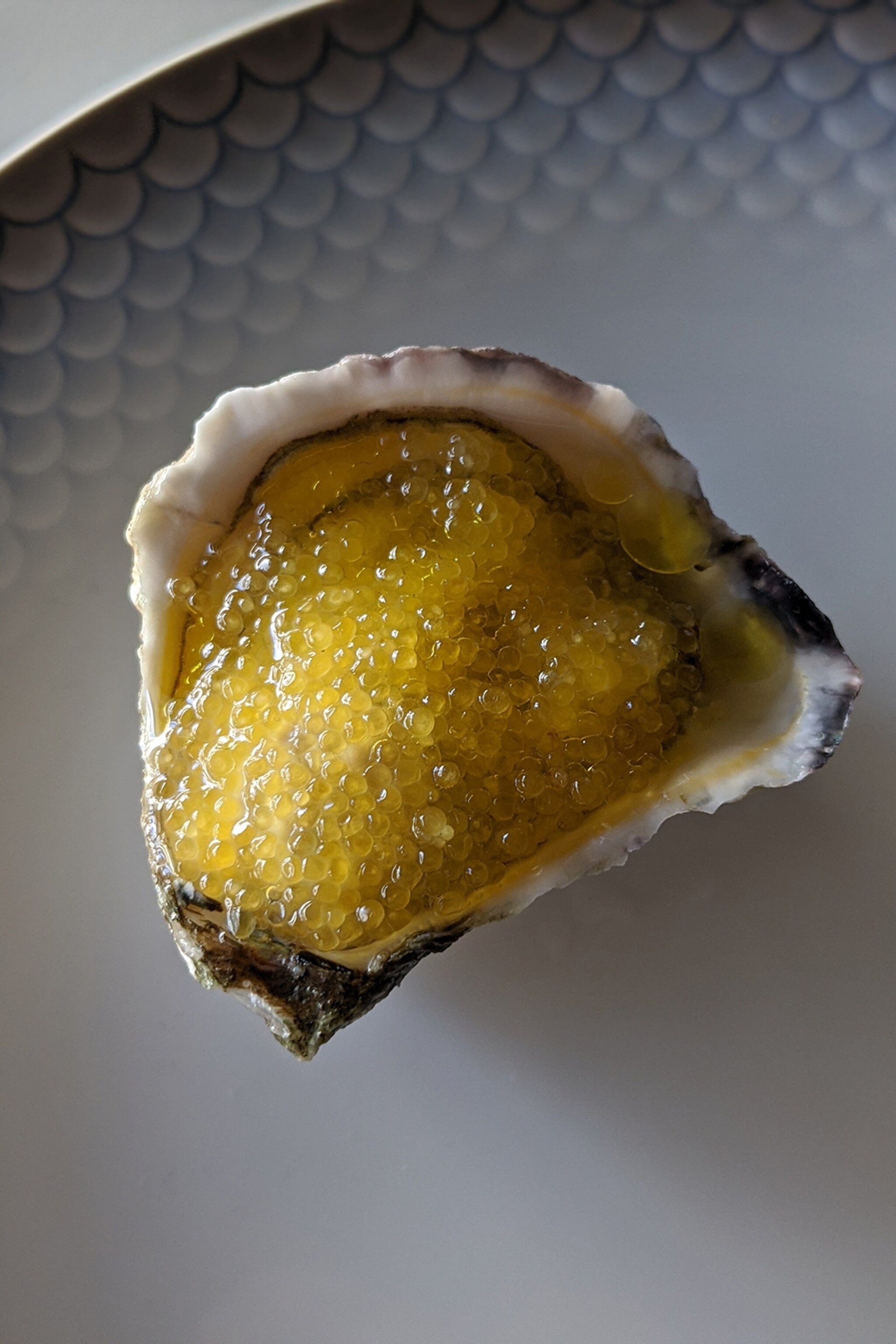 Meet Josh Niland, the Australian chef who started a fish revolution