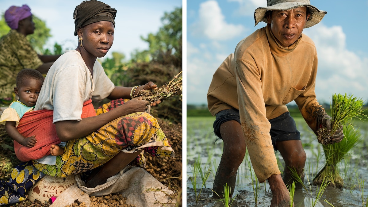 Here's Why We Haven't Quite Figured Out How to Feed Billions More ...