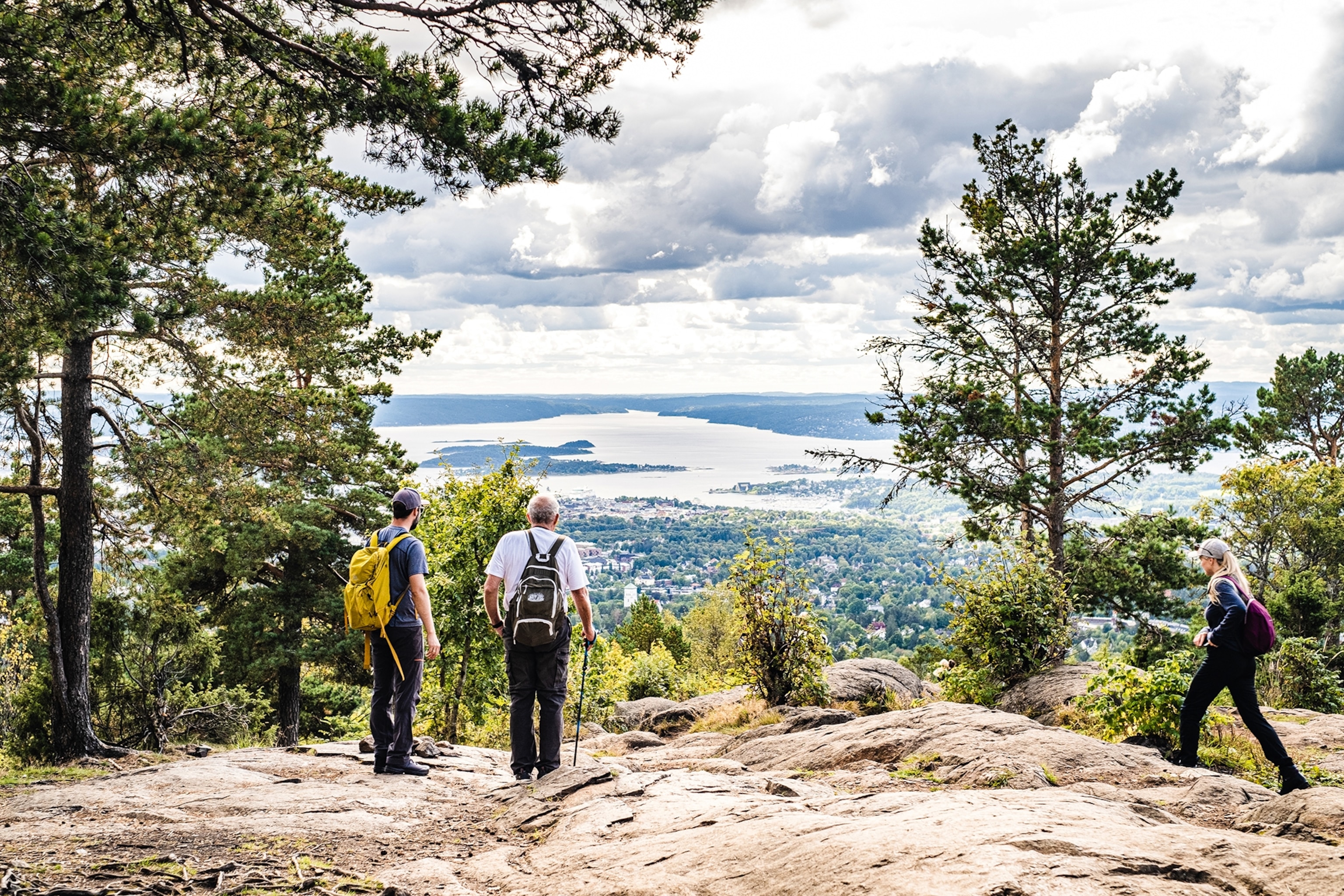 A city guide to Oslo — hot dogs, harbour regeneration and Nordic fjord life
