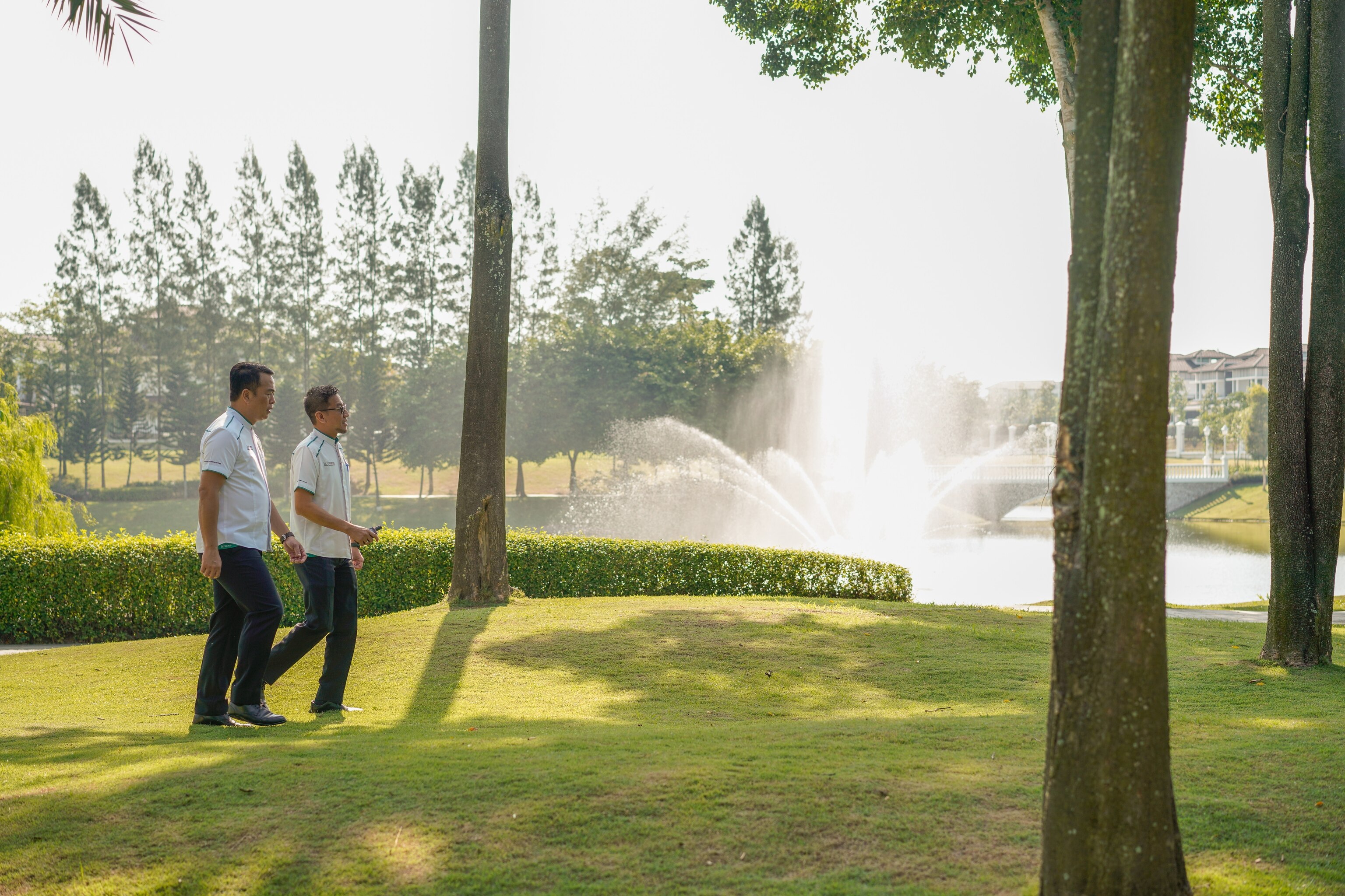 Building a greener world