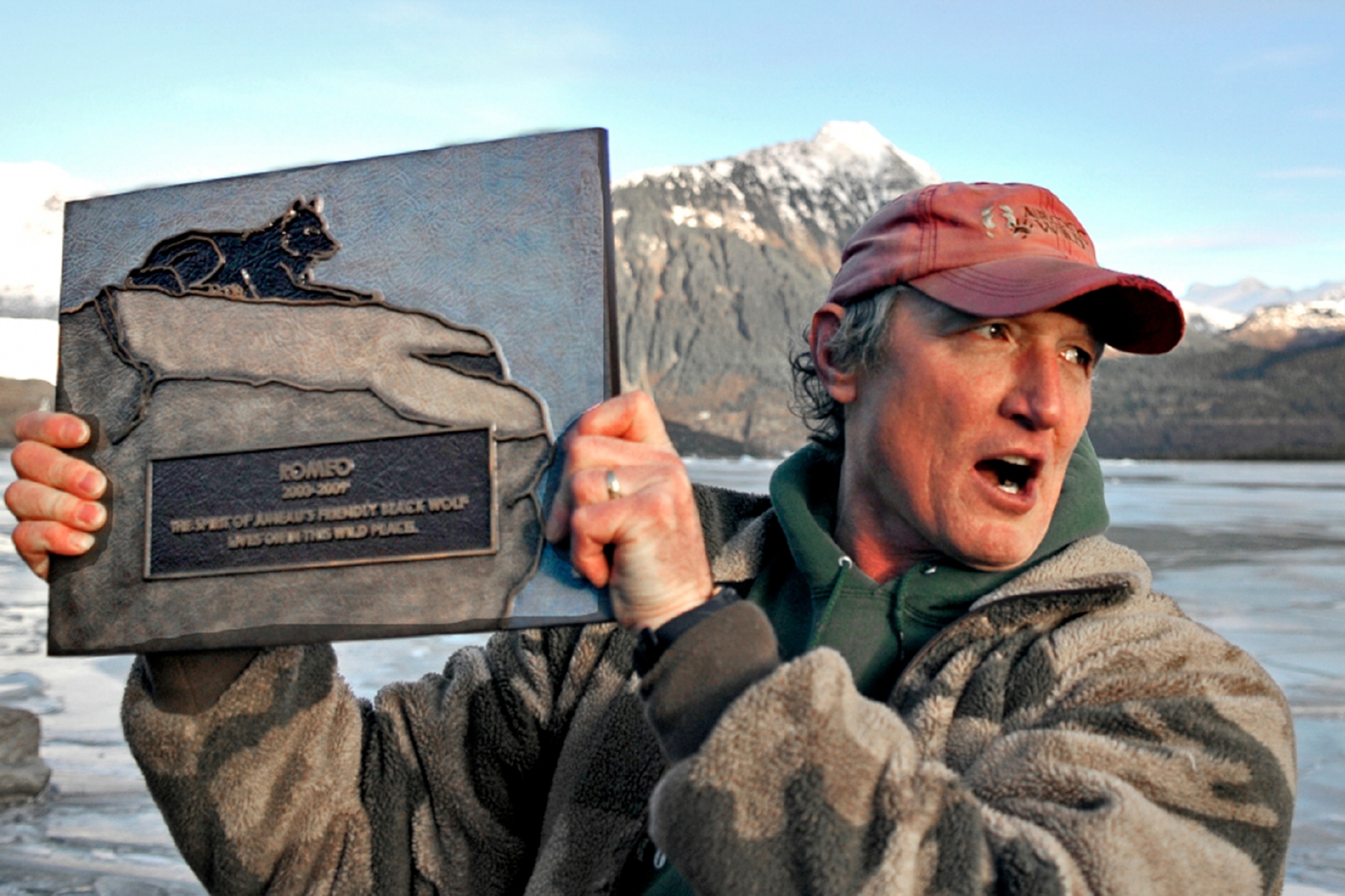 How a Wolf Named Romeo Won Hearts in an Alaska Suburb