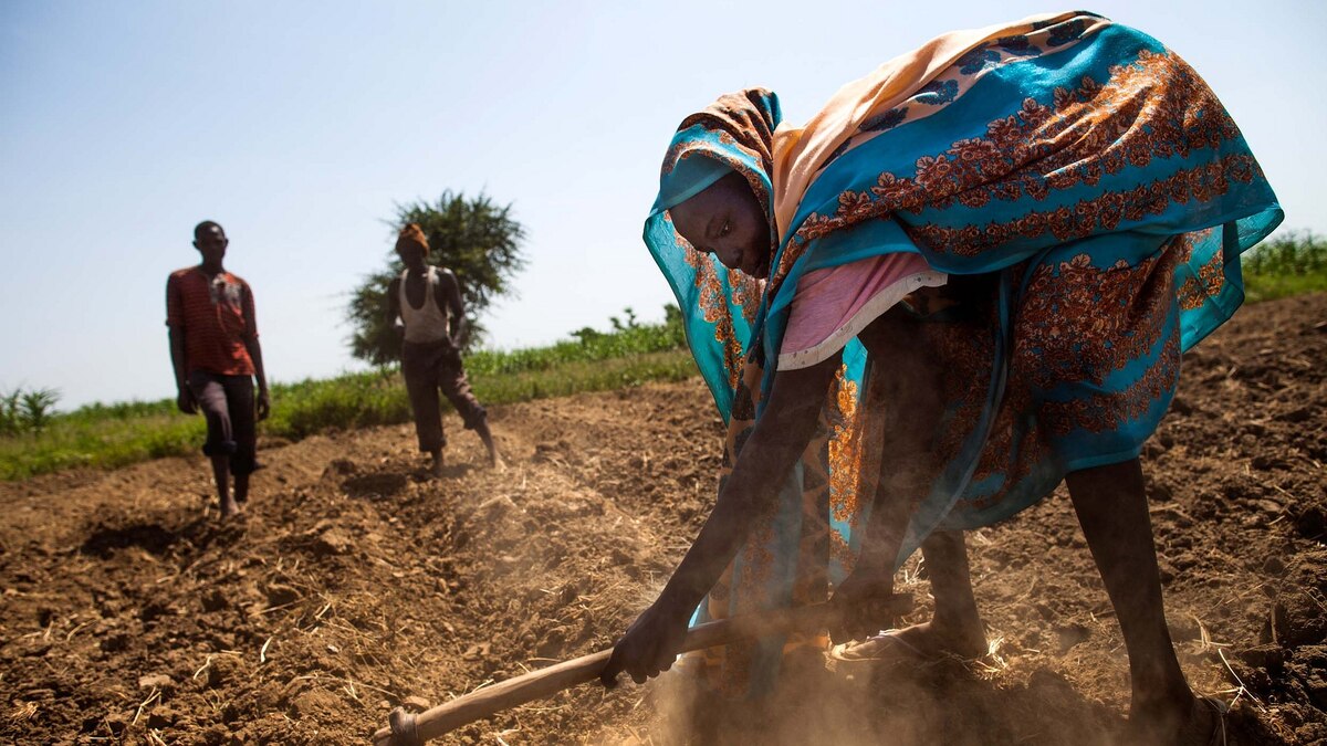 We Need Young Farmers—Here’s Why I’m Not One | National Geographic