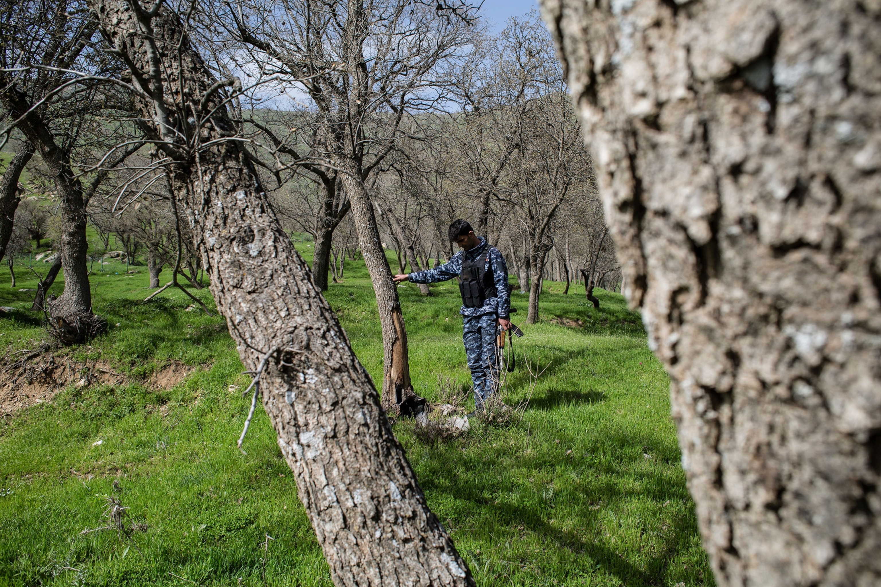 Iraqi firefighters race to save last of Middle East's forests