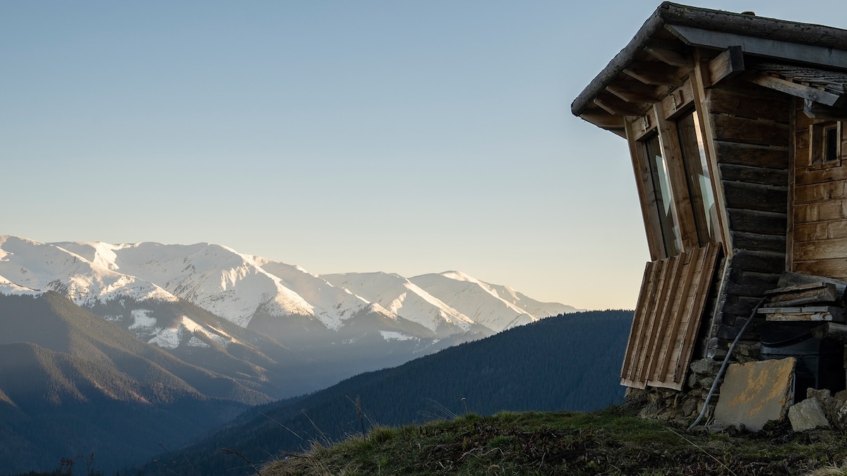 Bears, wolves and rewilding in Romania's Southern Carpathian mountains | National Geographic