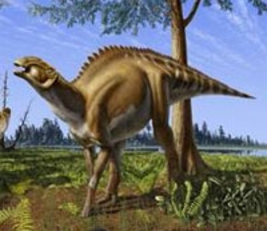 Dinosaurs In Test Tube