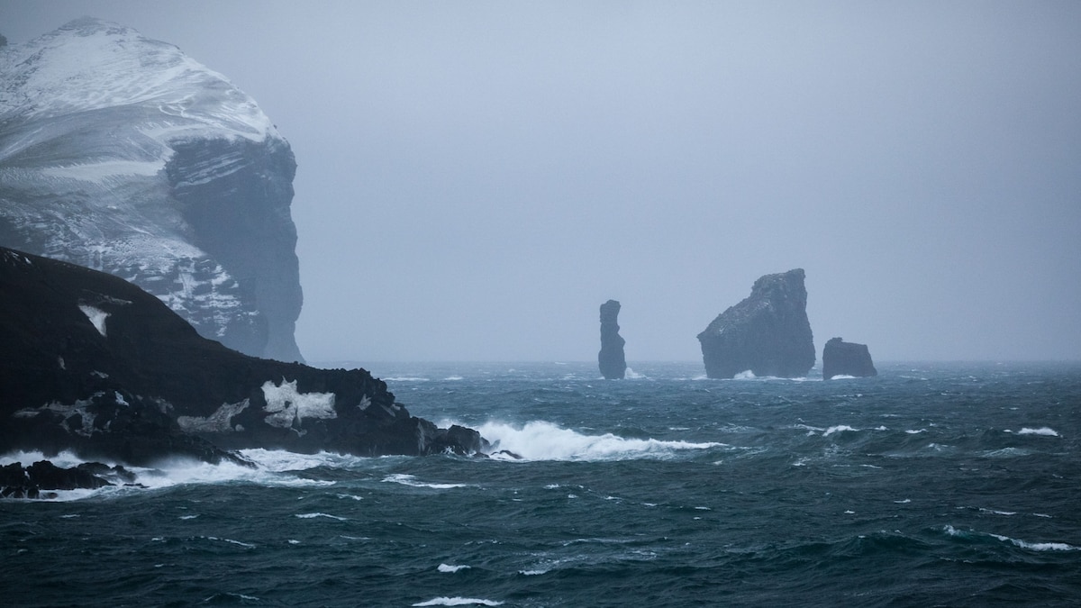 Deception Island Volcano in Antarctica Is Full of Wildlife
