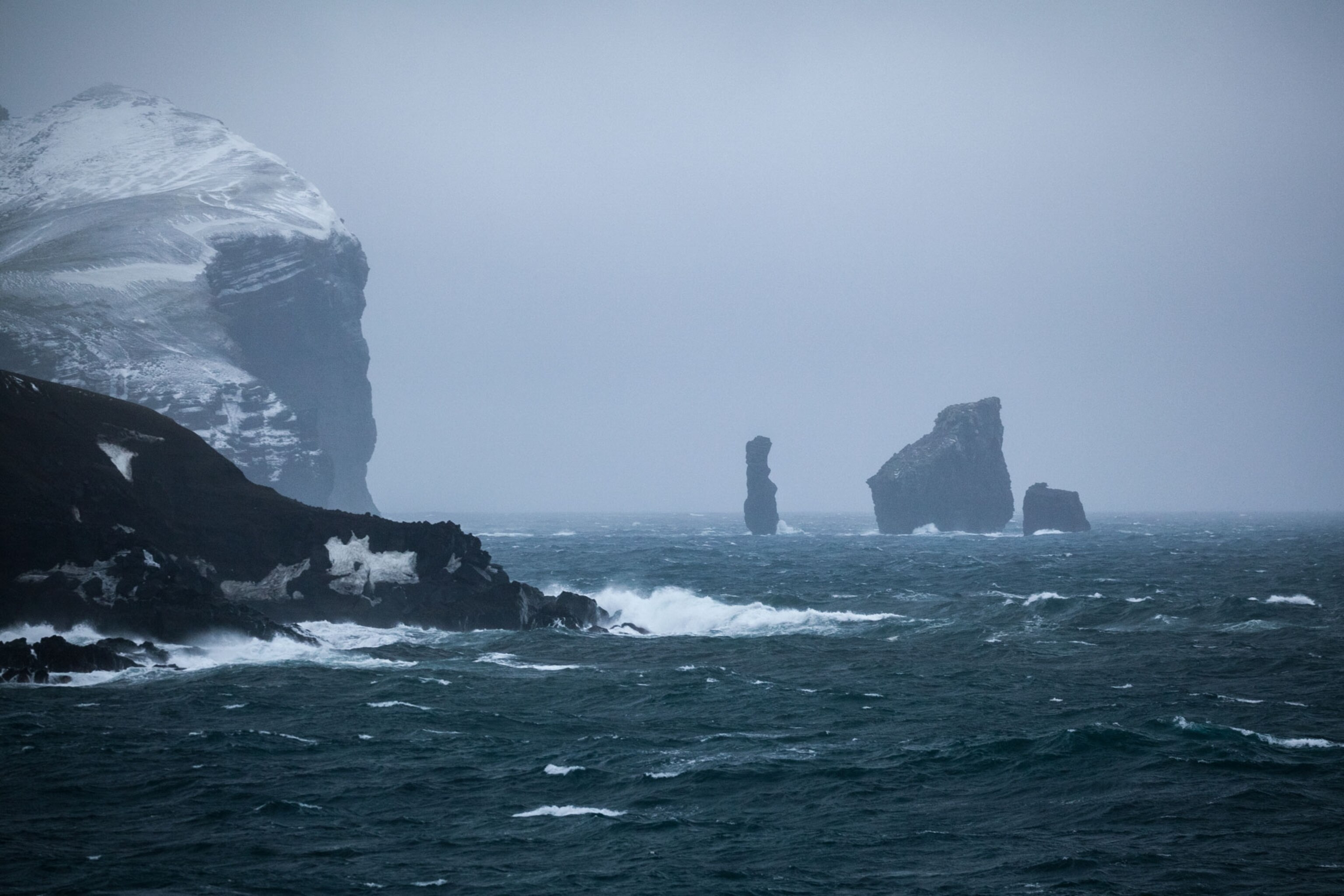 Deception Island Volcano in Antarctica Is Full of Wildlife