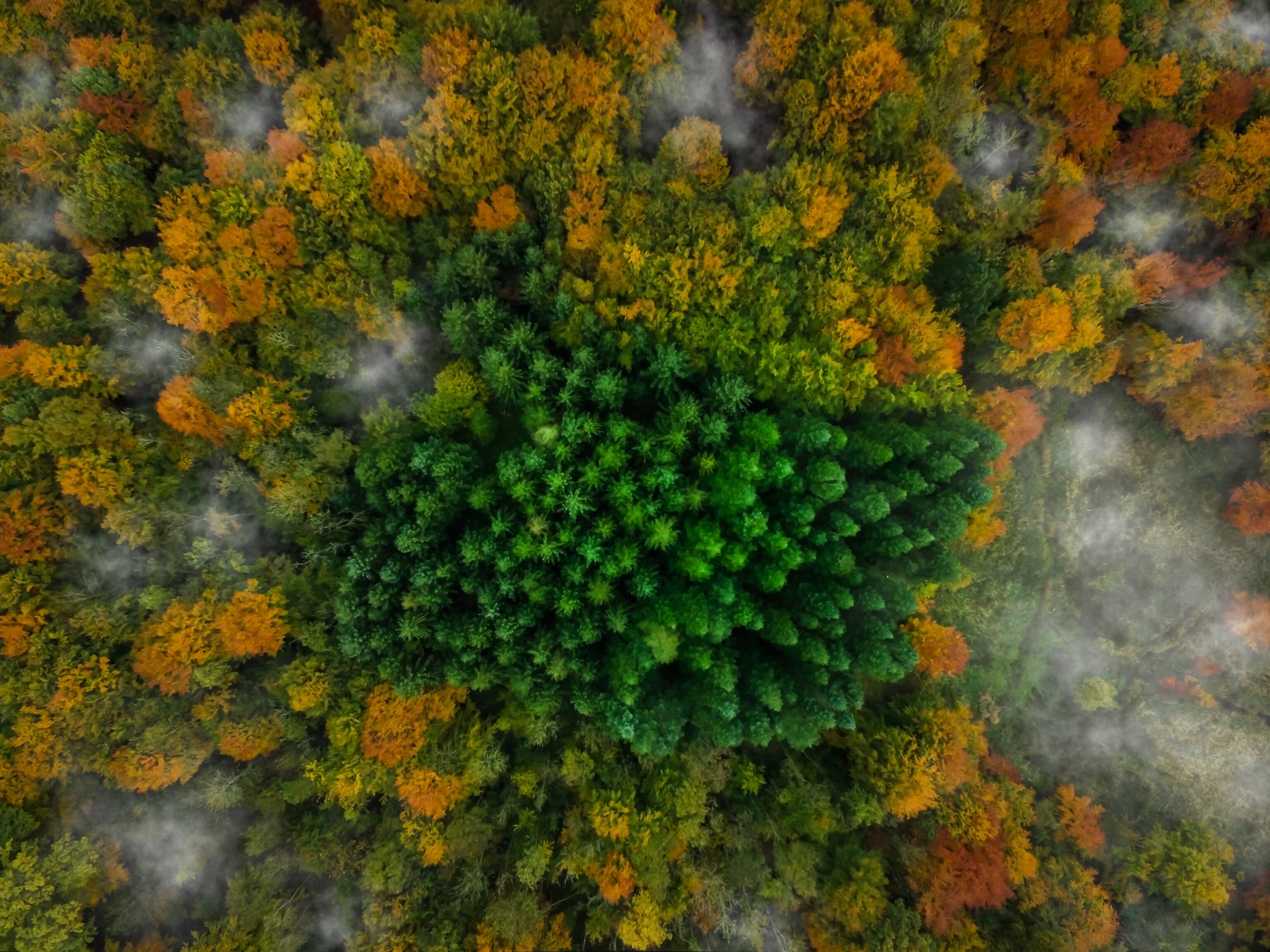 Stunning Fall Pictures Taken by Drones