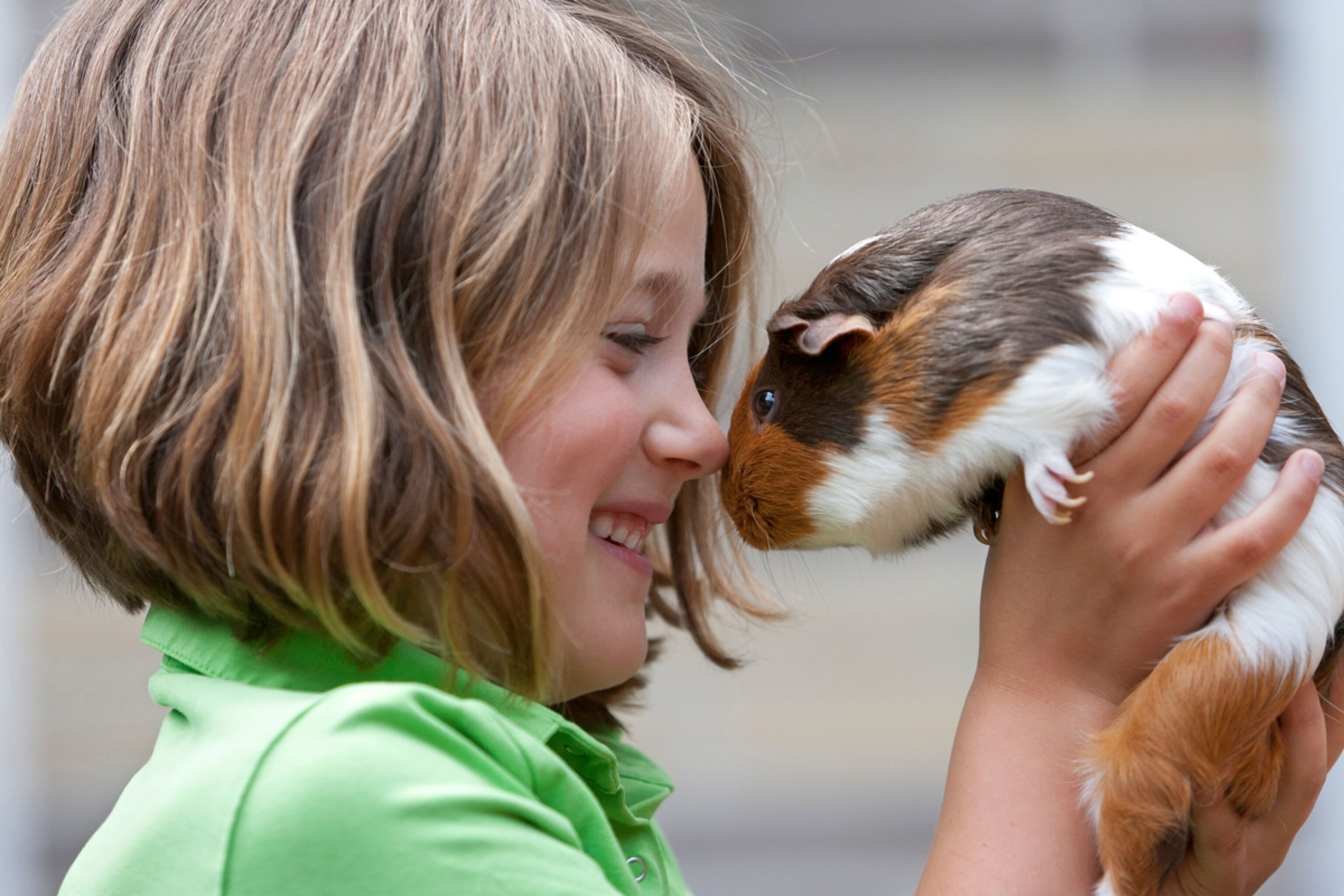 Is your family pet bad for the environment? It depends.