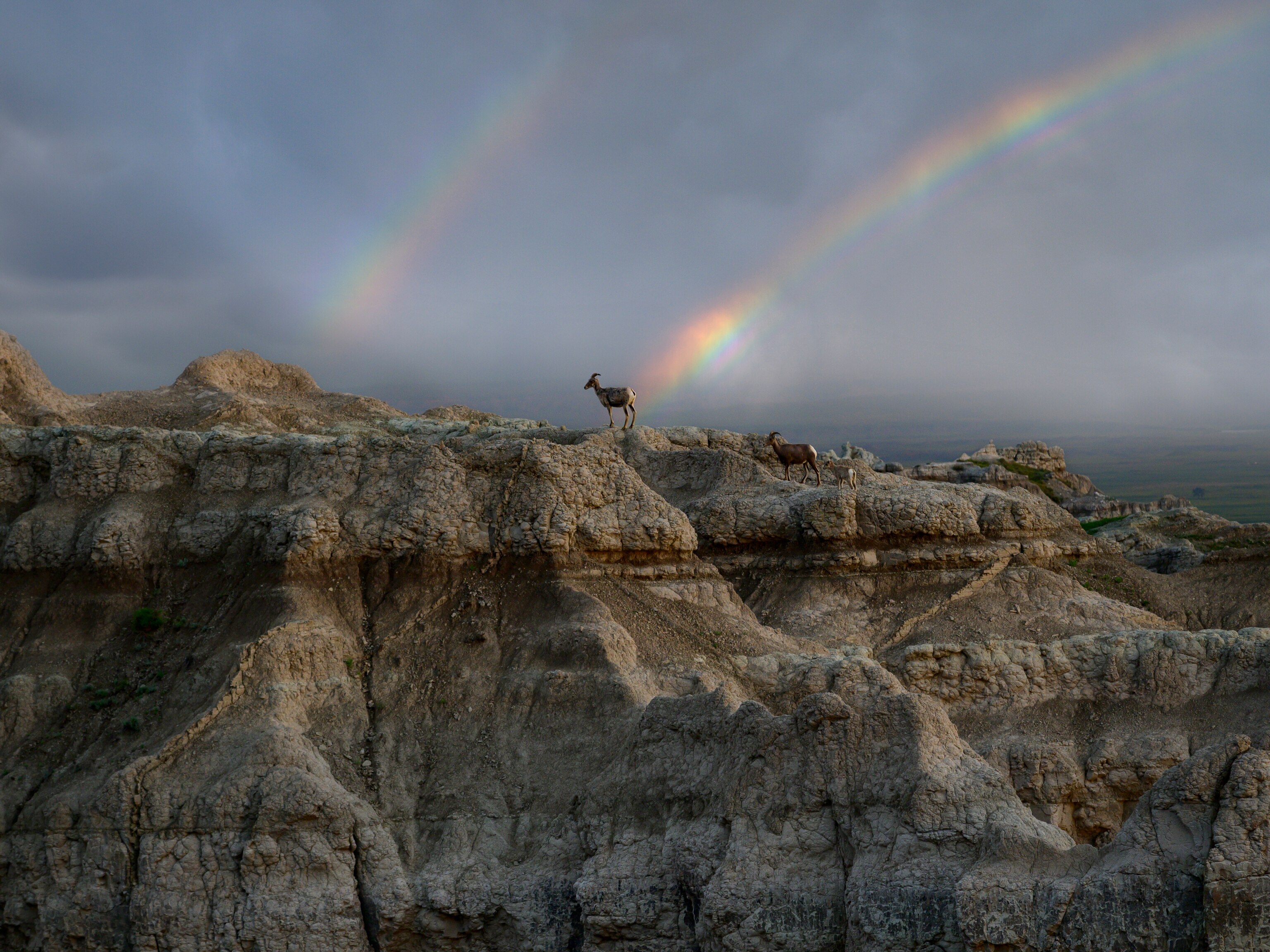 Australia hands control of its newest national parks to Indigenous peoples