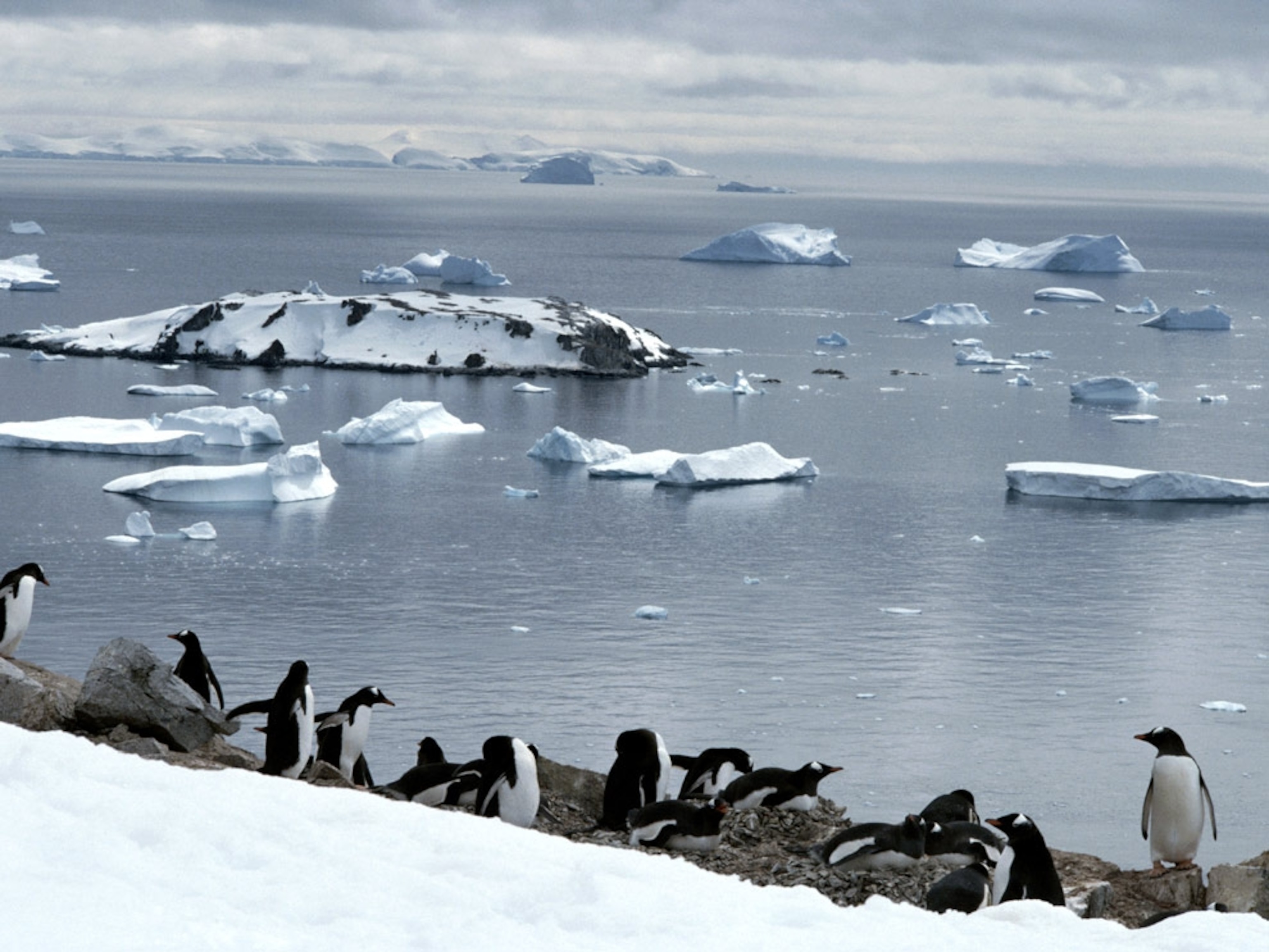 Antarctica Photo Gallery, Ice Shelf Pictures, Glaciers Wallpaper ...