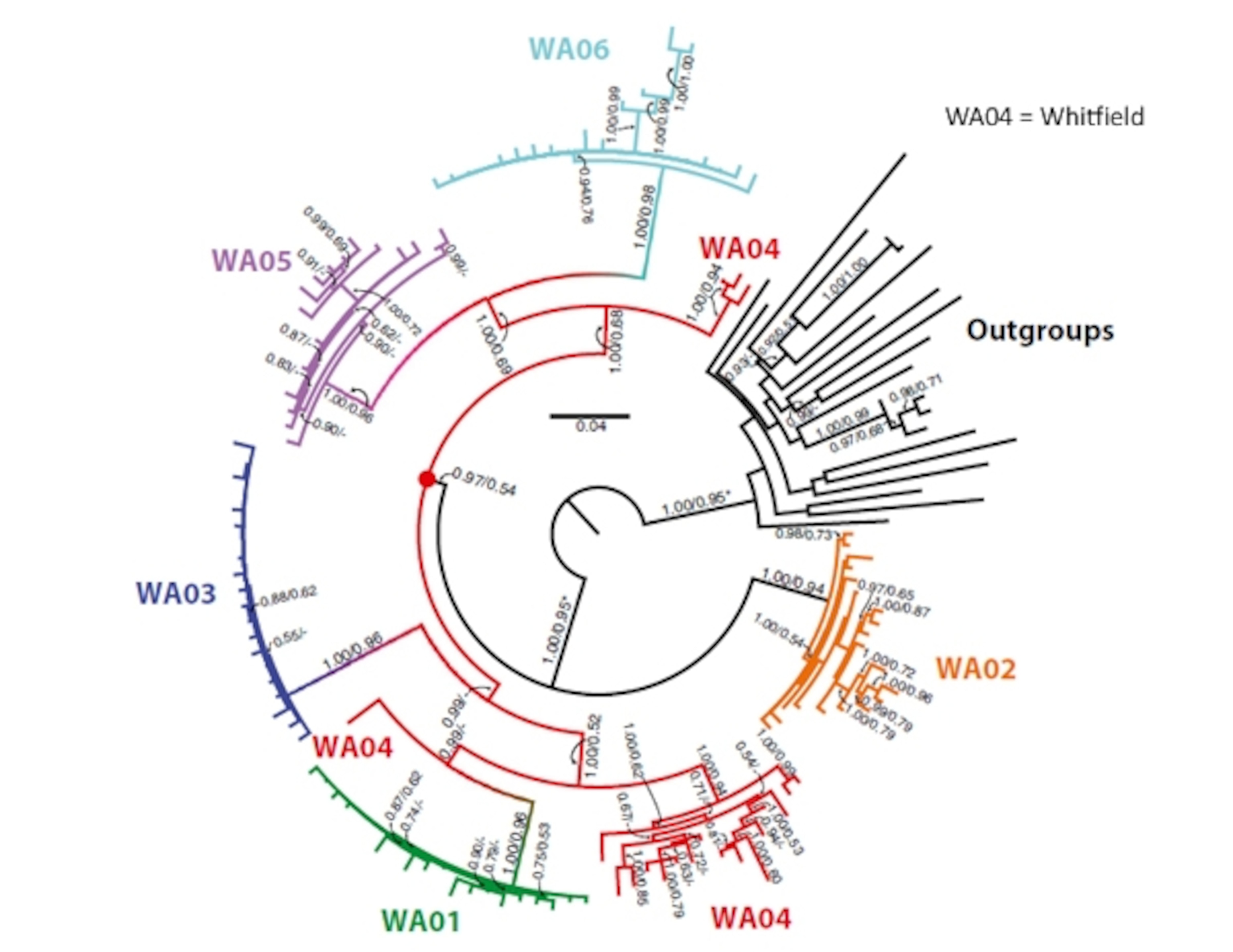 Evolutionary trees help to convict men who knowingly infected women ...