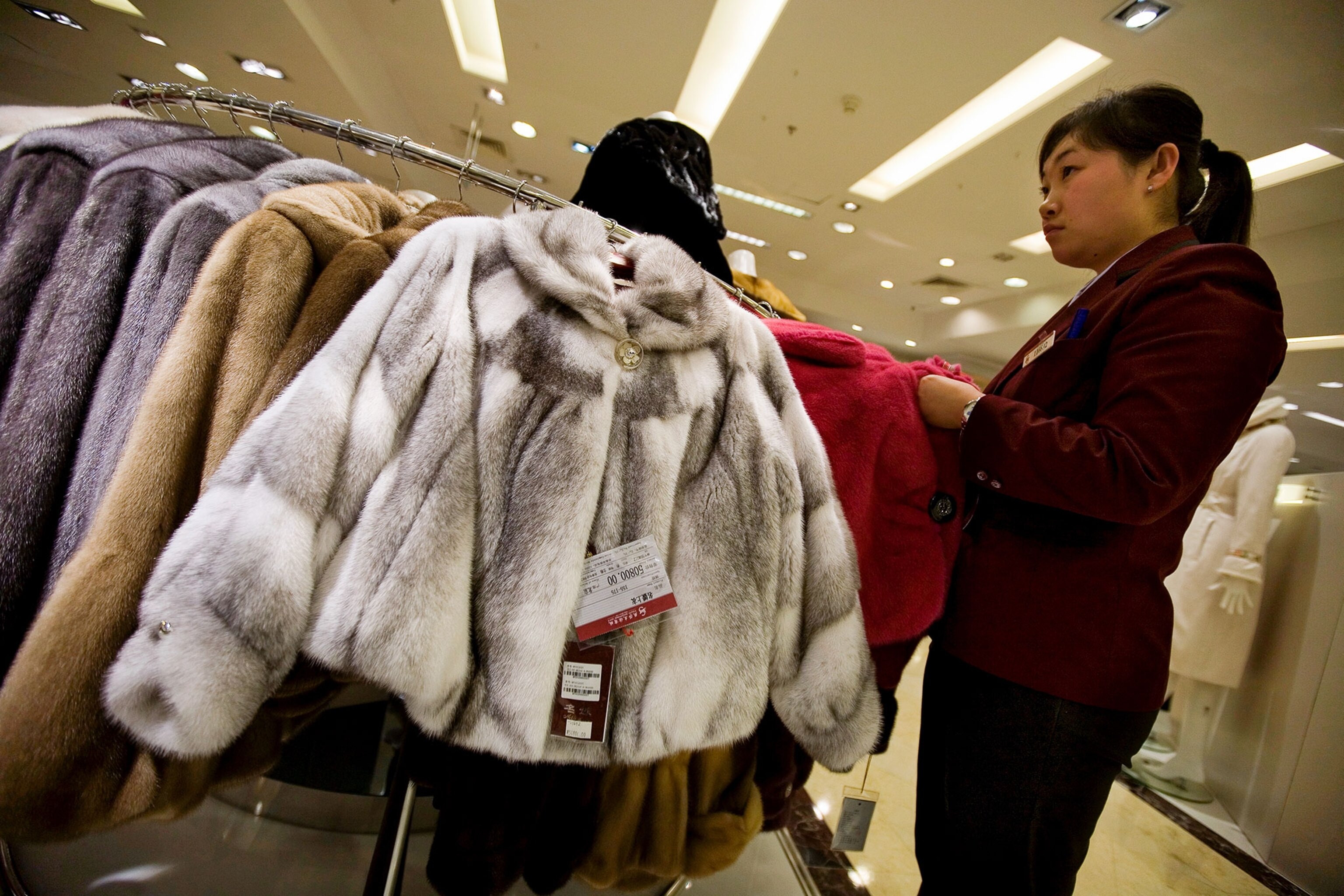 Fur Farms Still Unfashionably Cruel, Critics Say
