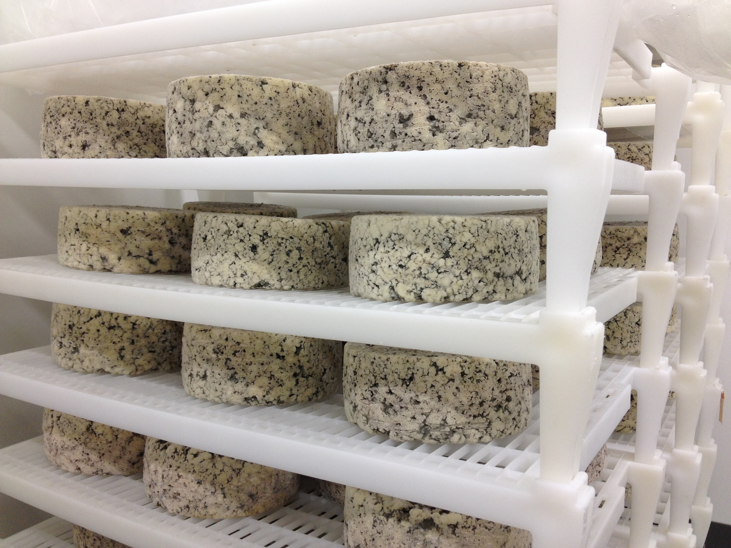 FireFly Farms and the Chamber of Dairy Secrets | National Geographic