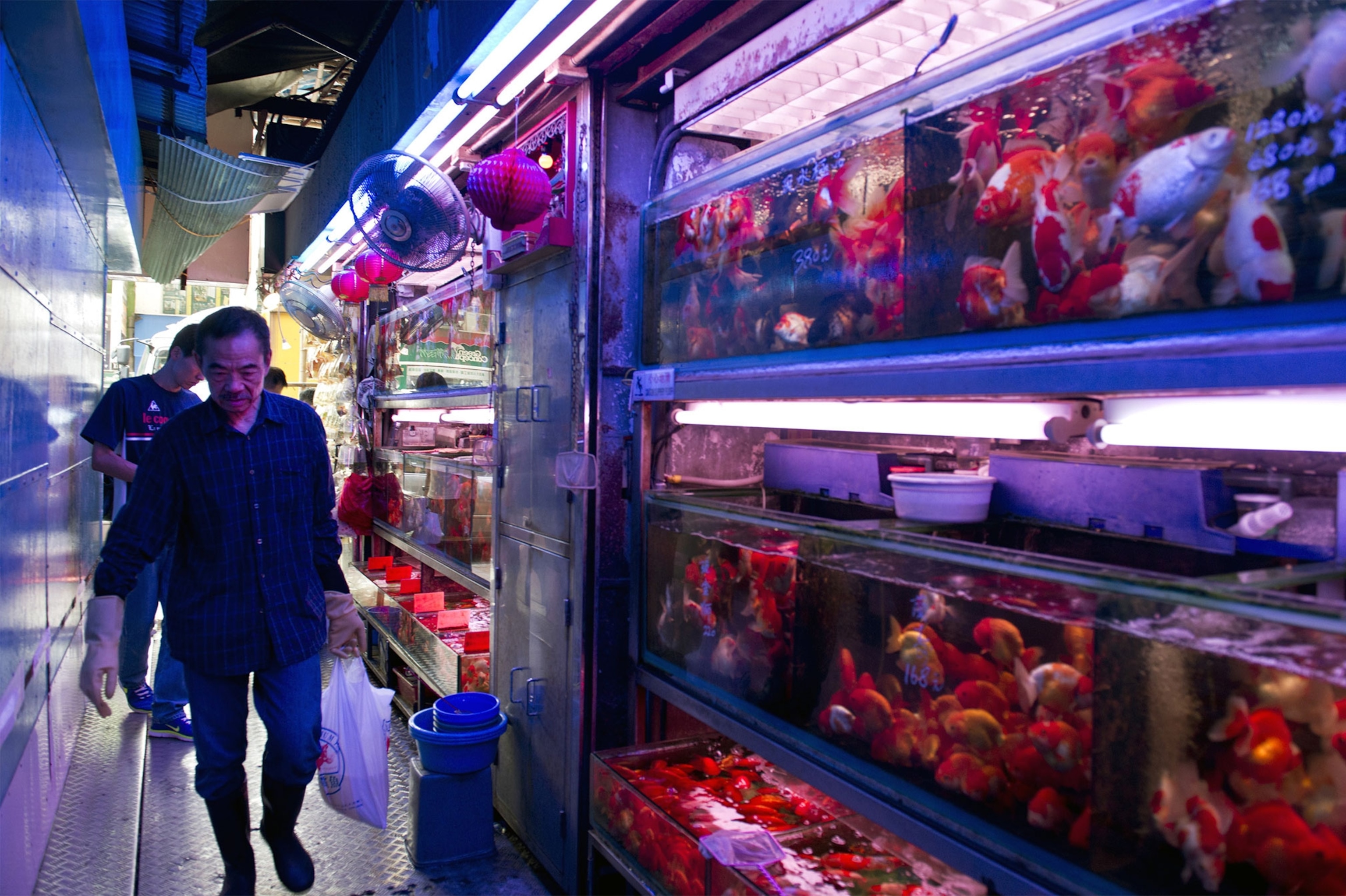 The World Has a Chance to Make the Wild Animal Trade More Humane