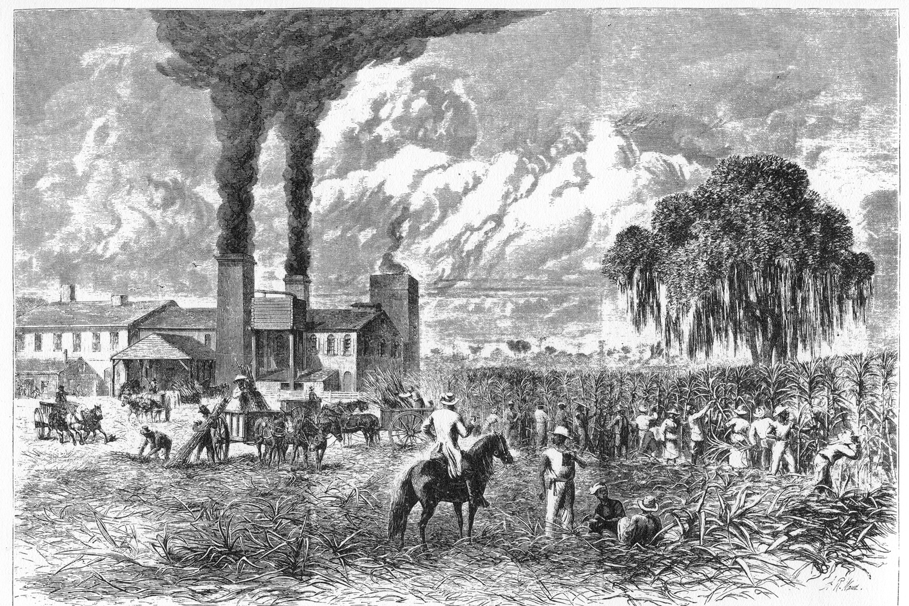 How Slavery and African Food Traditions Shaped American Cooking