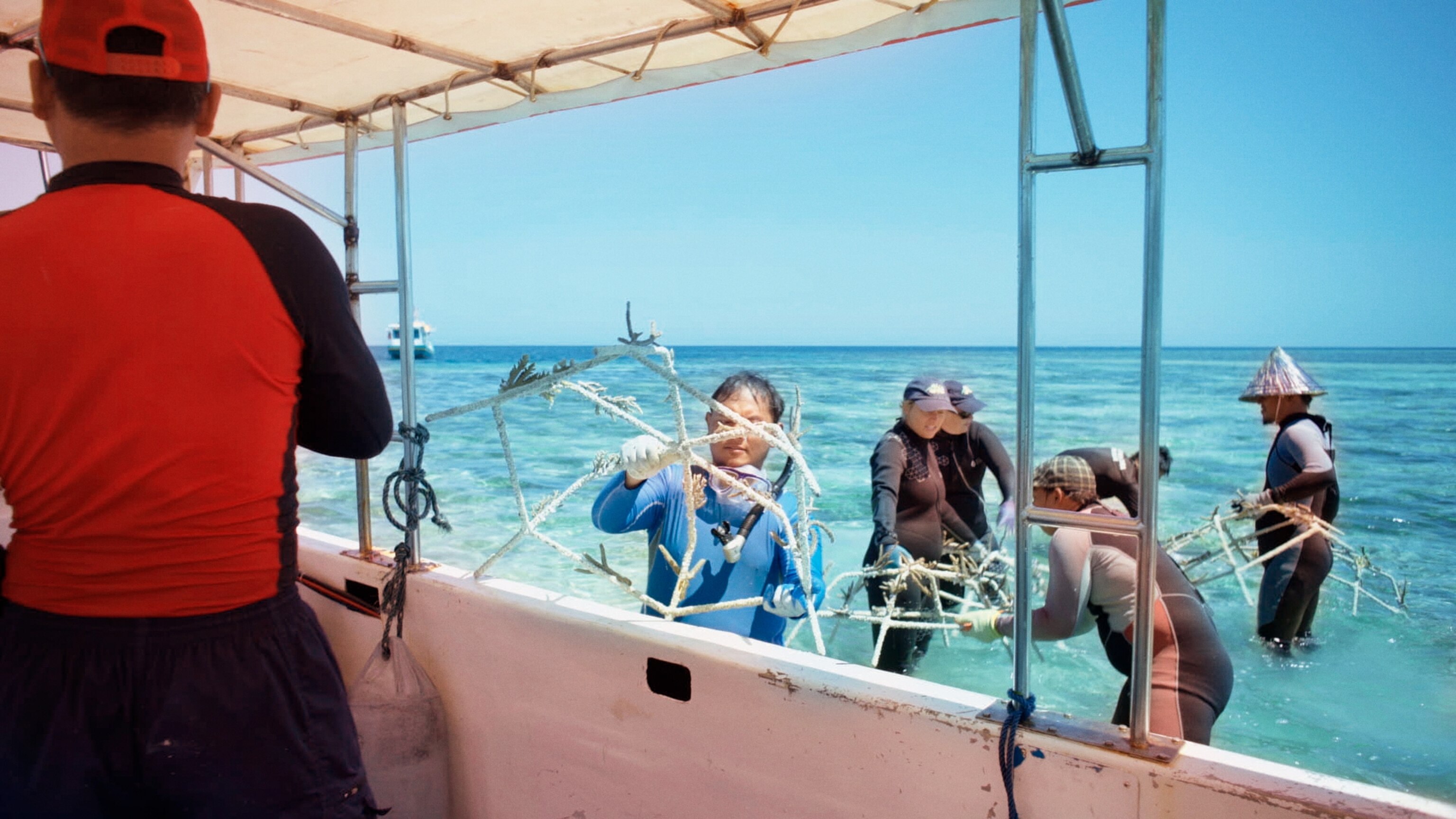 Why our coral reefs need hope