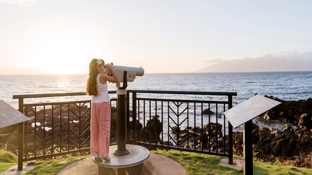 Maui 2026: When to visit, where to stay, and what to do | National ...
